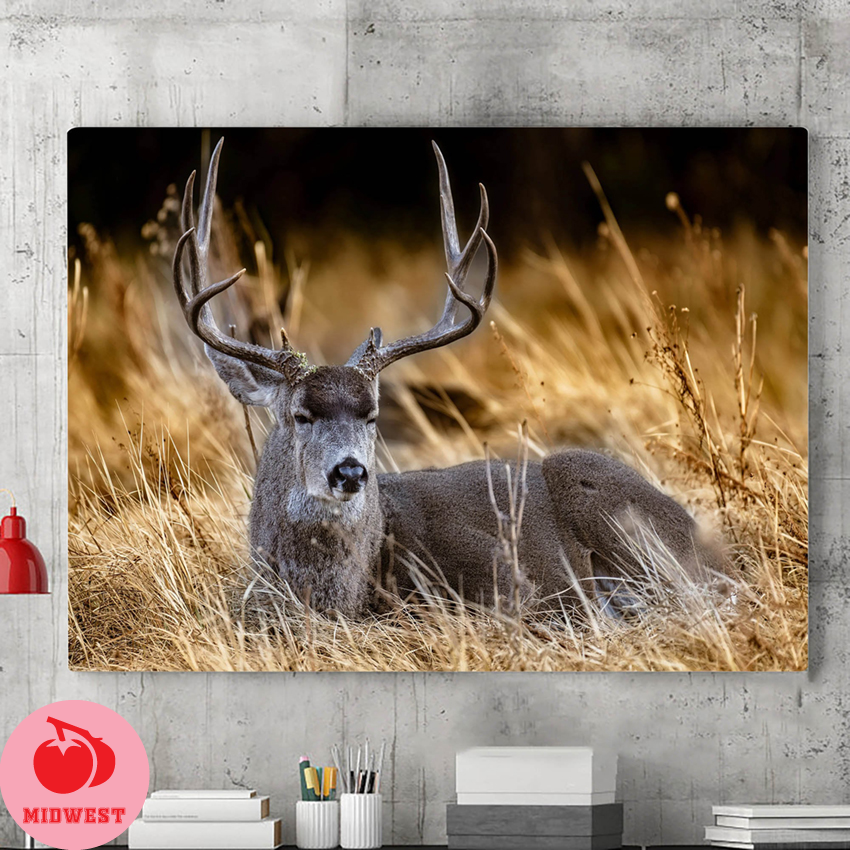 Deer Canvas Wall Art Painting, Animal Wall Art, Wildlife Pho - Inspire ...