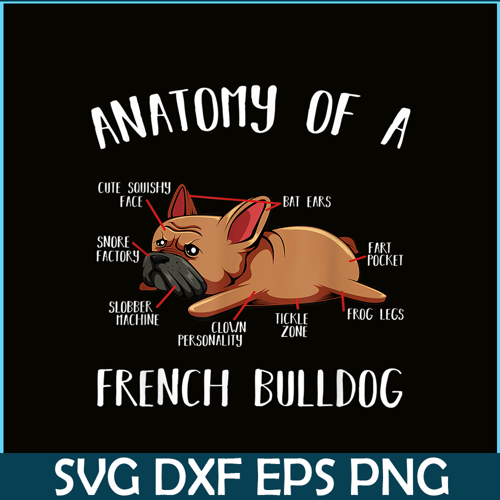 Anatomy Of A French Bulldog PNG Frenchie Dog PNG, Bulldog Ma - Inspire ...