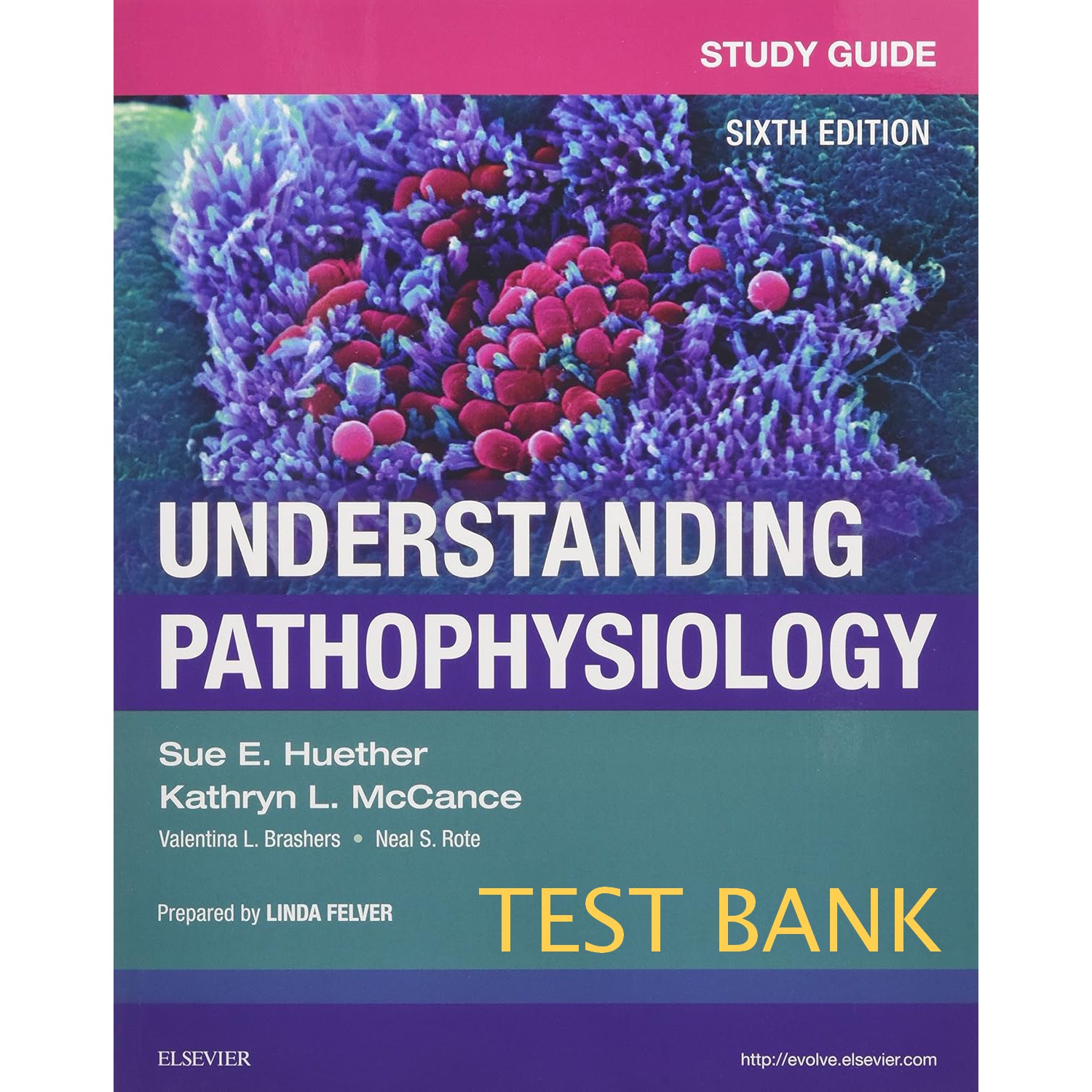 Test Bank Understanding Pathophysiology 6th Edition | Inspire Uplift