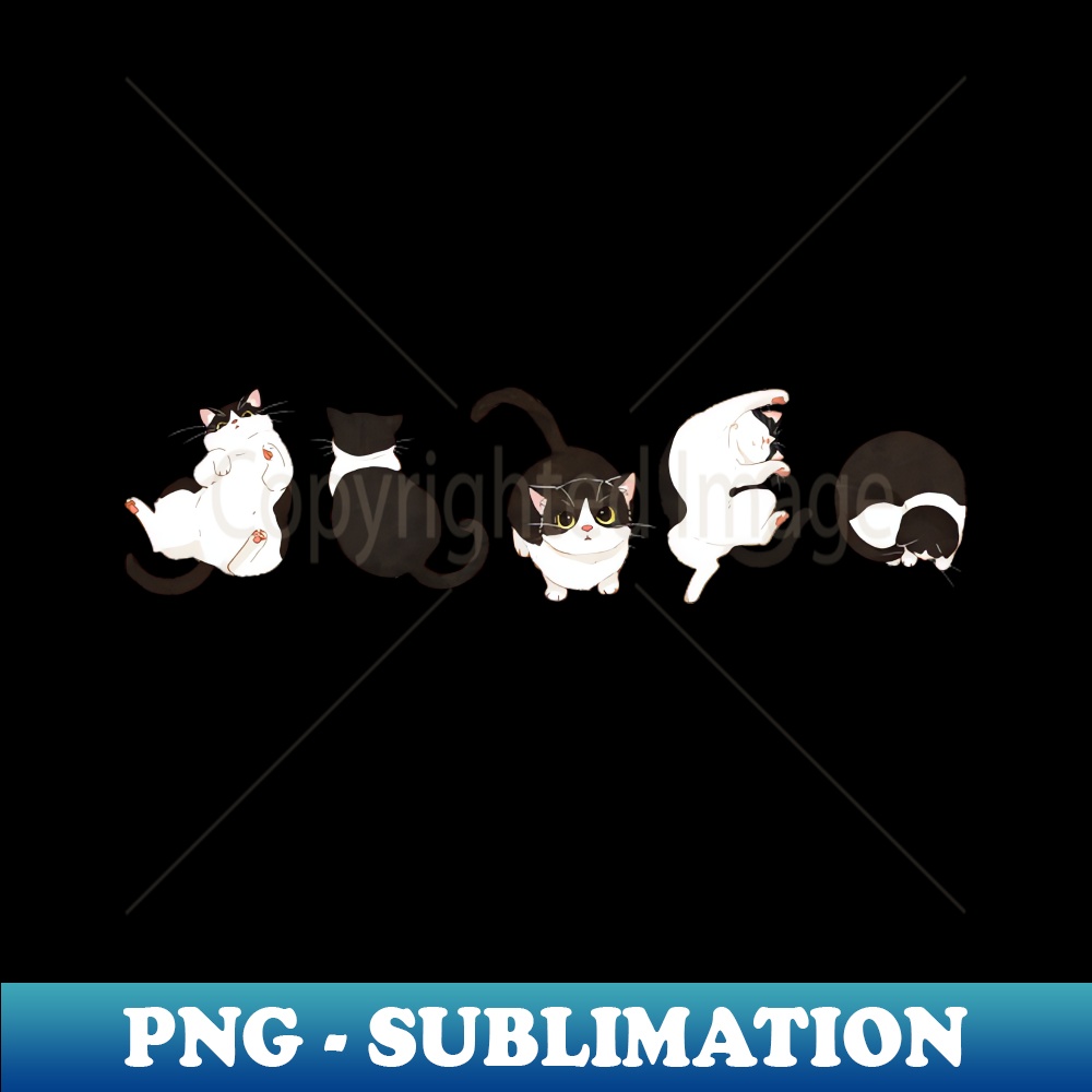 Black and White Cats Chilling on Floor - Horizontal - - Excl | Inspire ...