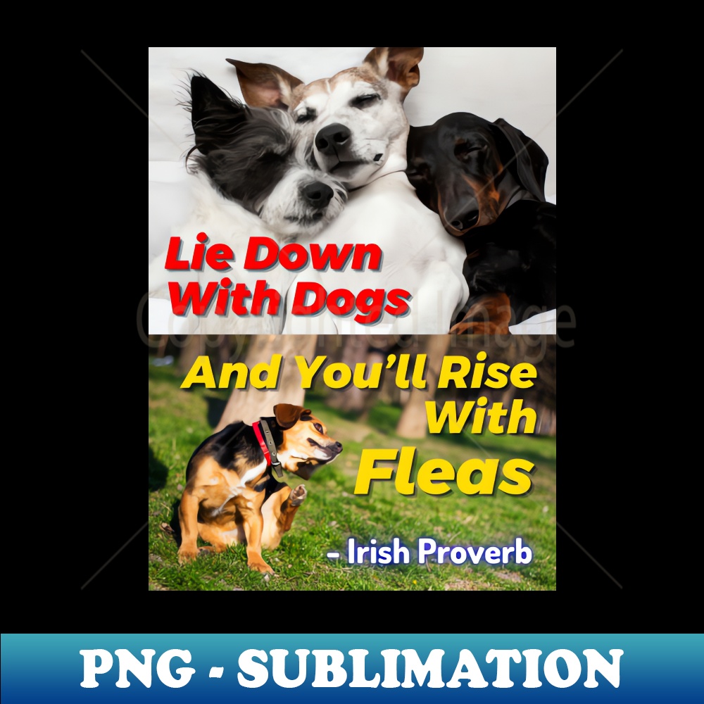 Irish Proverb - Lie Down With Dog And Youll Rise With Fleas | Inspire ...