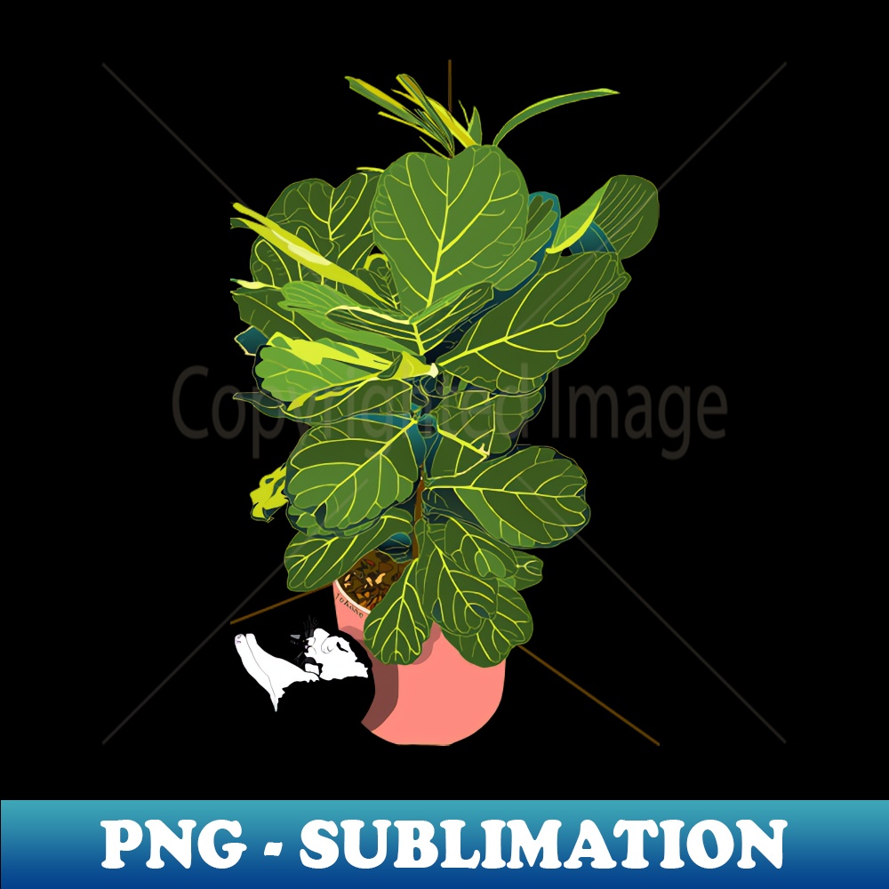 Cute tuxedo cat and Fiddle Leaf Fig Tree Copyright TeAnne - | Inspire ...