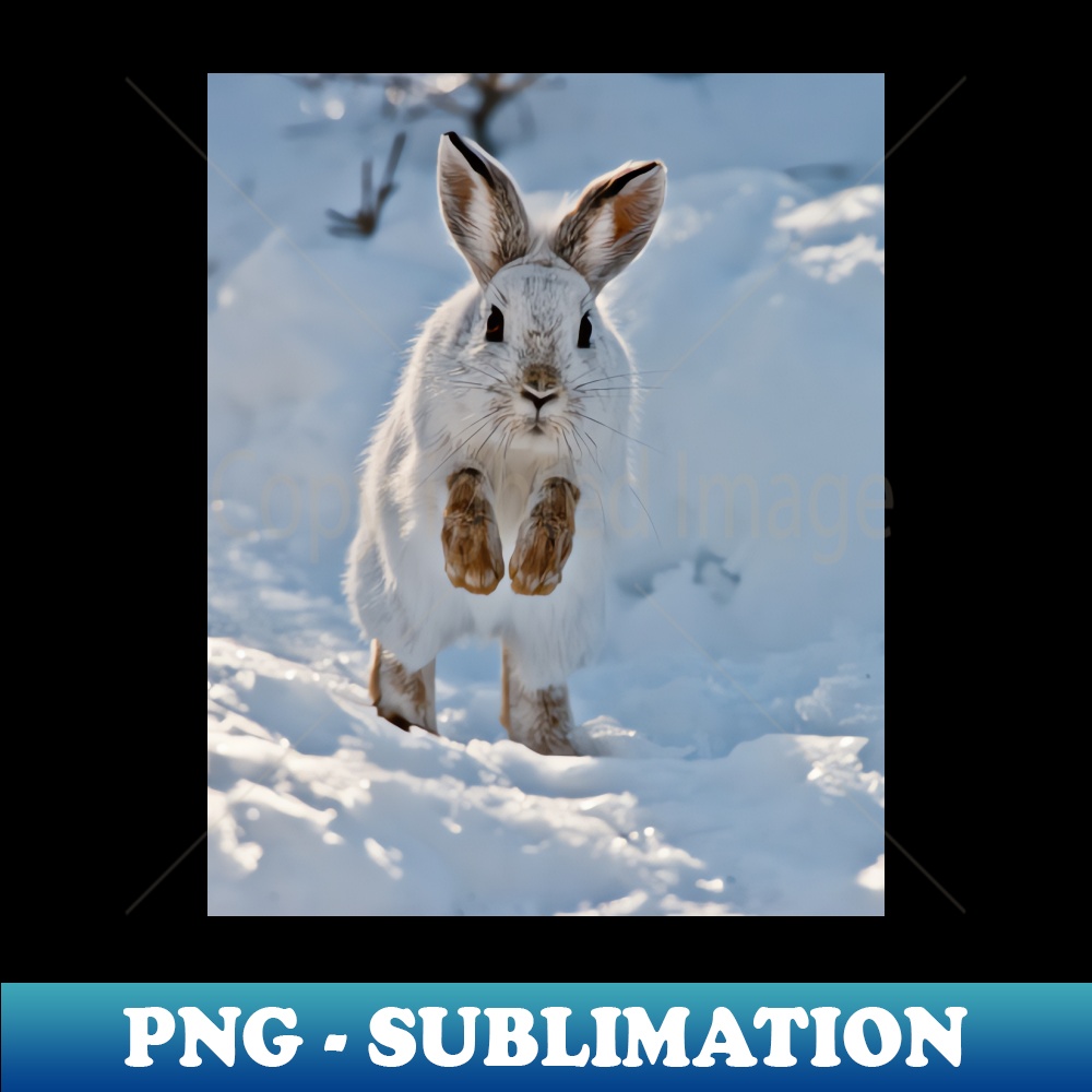 Snow Shoe Hare - PNG Transparent Sublimation File - Perfect | Inspire ...