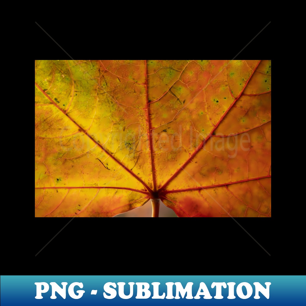 Maple Leaf meets the Sun - Vintage Sublimation PNG Download | Inspire ...