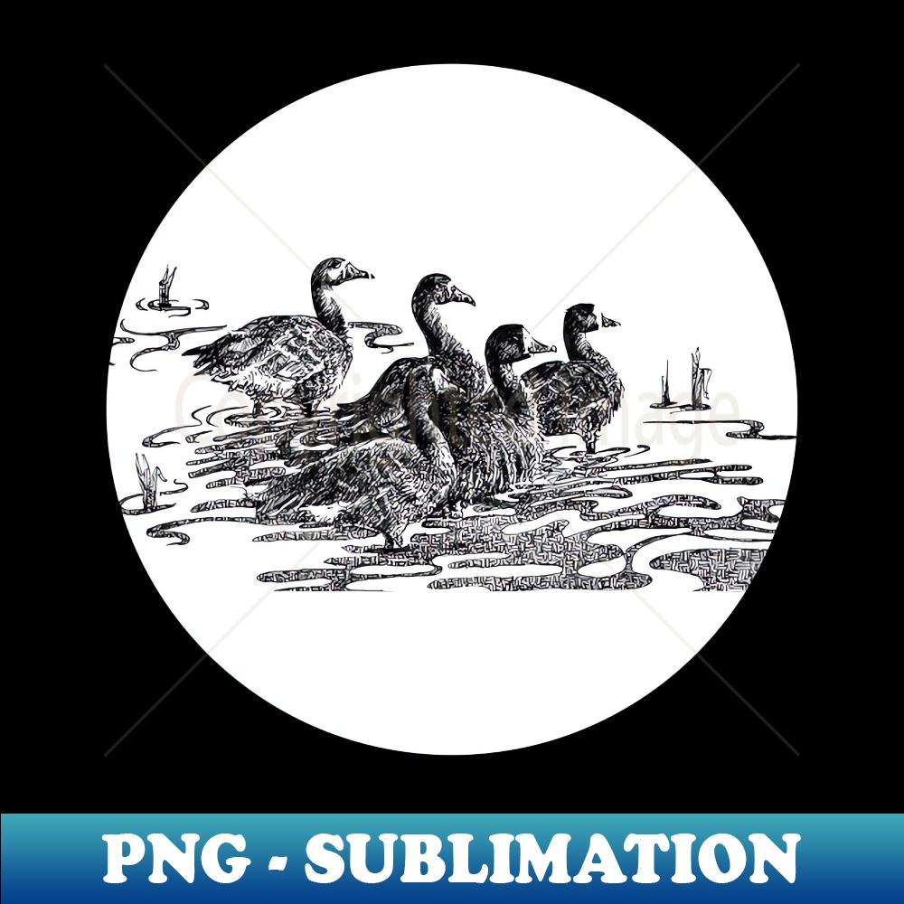 Greater White Fronted Geese pen and ink - High-Quality PNG S | Inspire ...