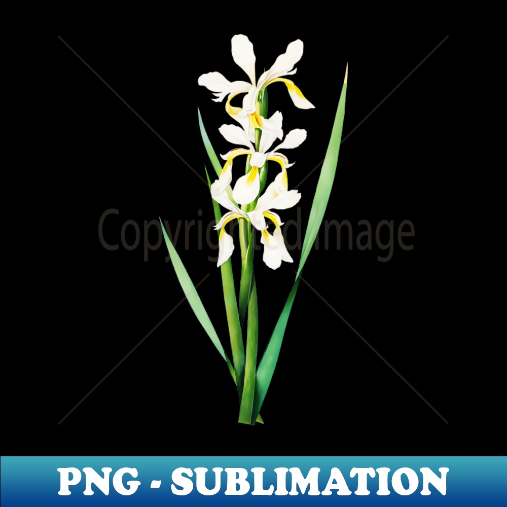 White lily flower - PNG Transparent Sublimation Design - Bri | Inspire ...