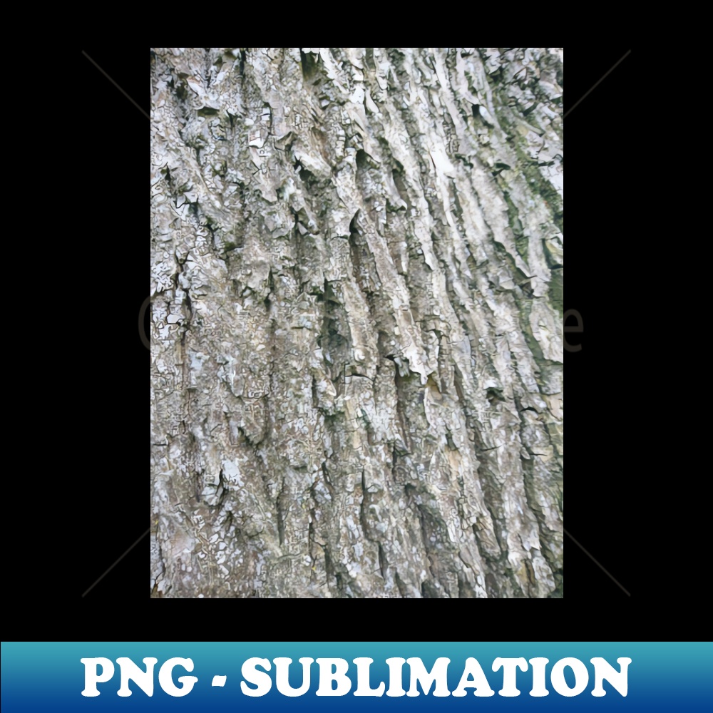 Tree bark texture - PNG Transparent Sublimation Design - Unl | Inspire ...