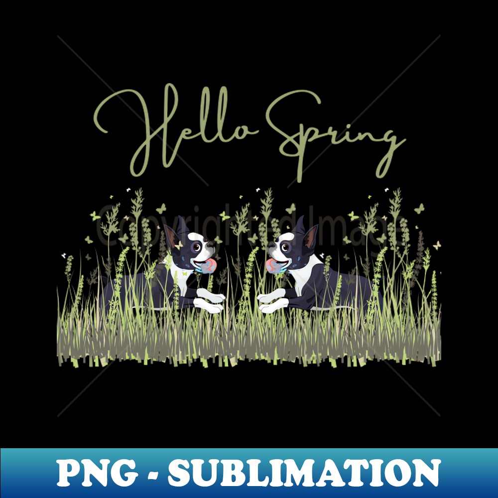 Boston Terrier Dog in Meadow with Hello Spring Sign - Sublim | Inspire ...