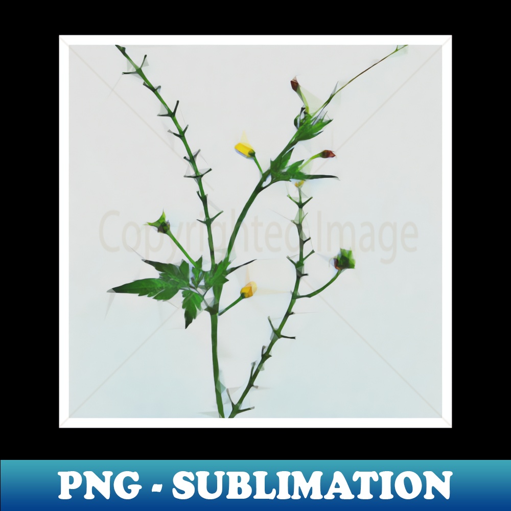 Real Floral Flower Plant 7 - PNG Transparent Digital Downloa | Inspire ...