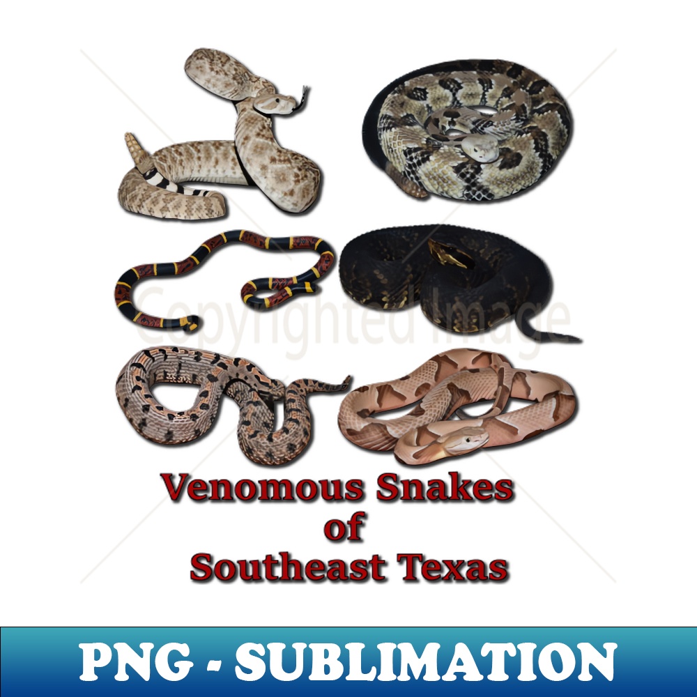 Venomous Snakes of Southeast Texas - PNG Transparent Sublima - Inspire ...