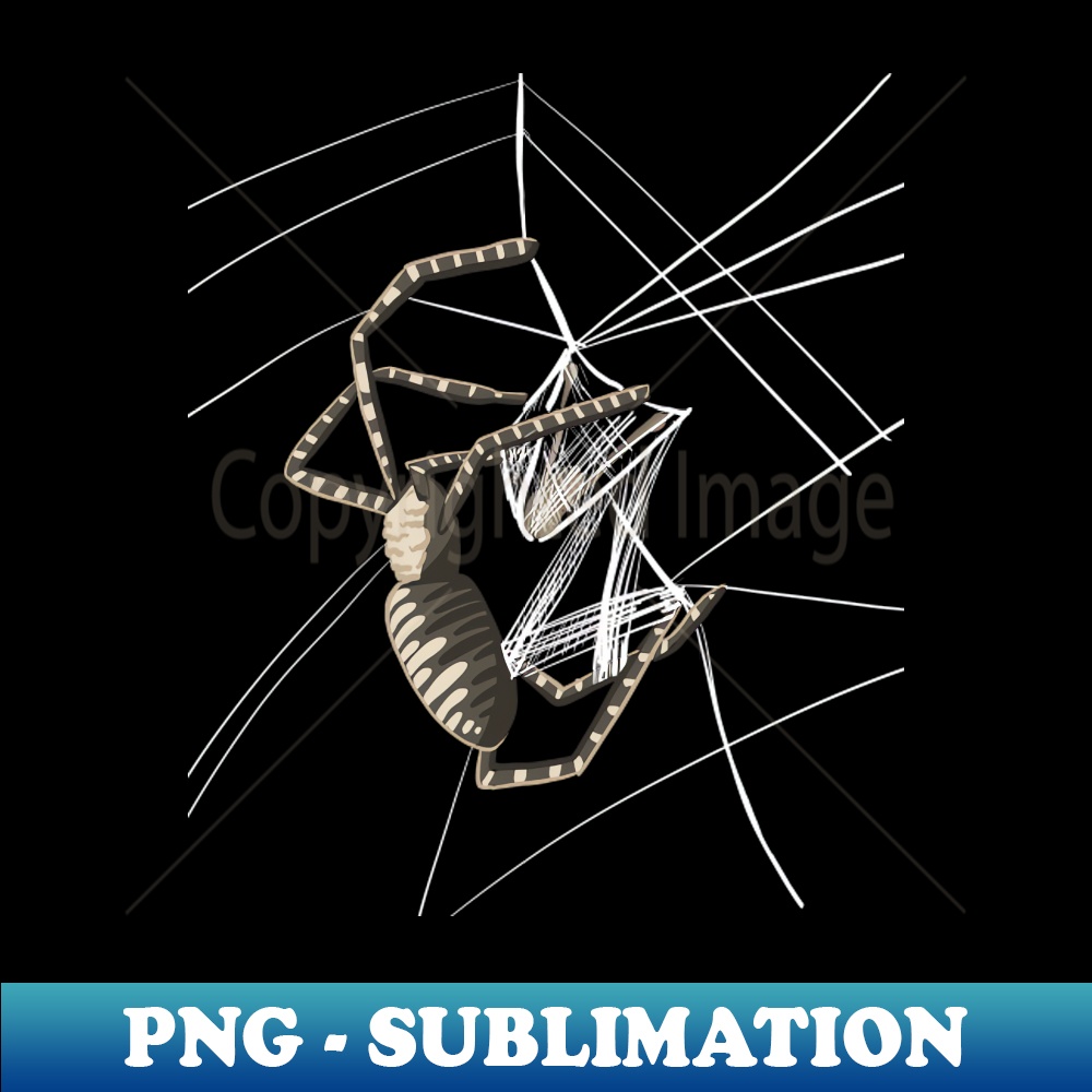 Weaving a Spider Web - Creative Sublimation PNG Download - C | Inspire ...