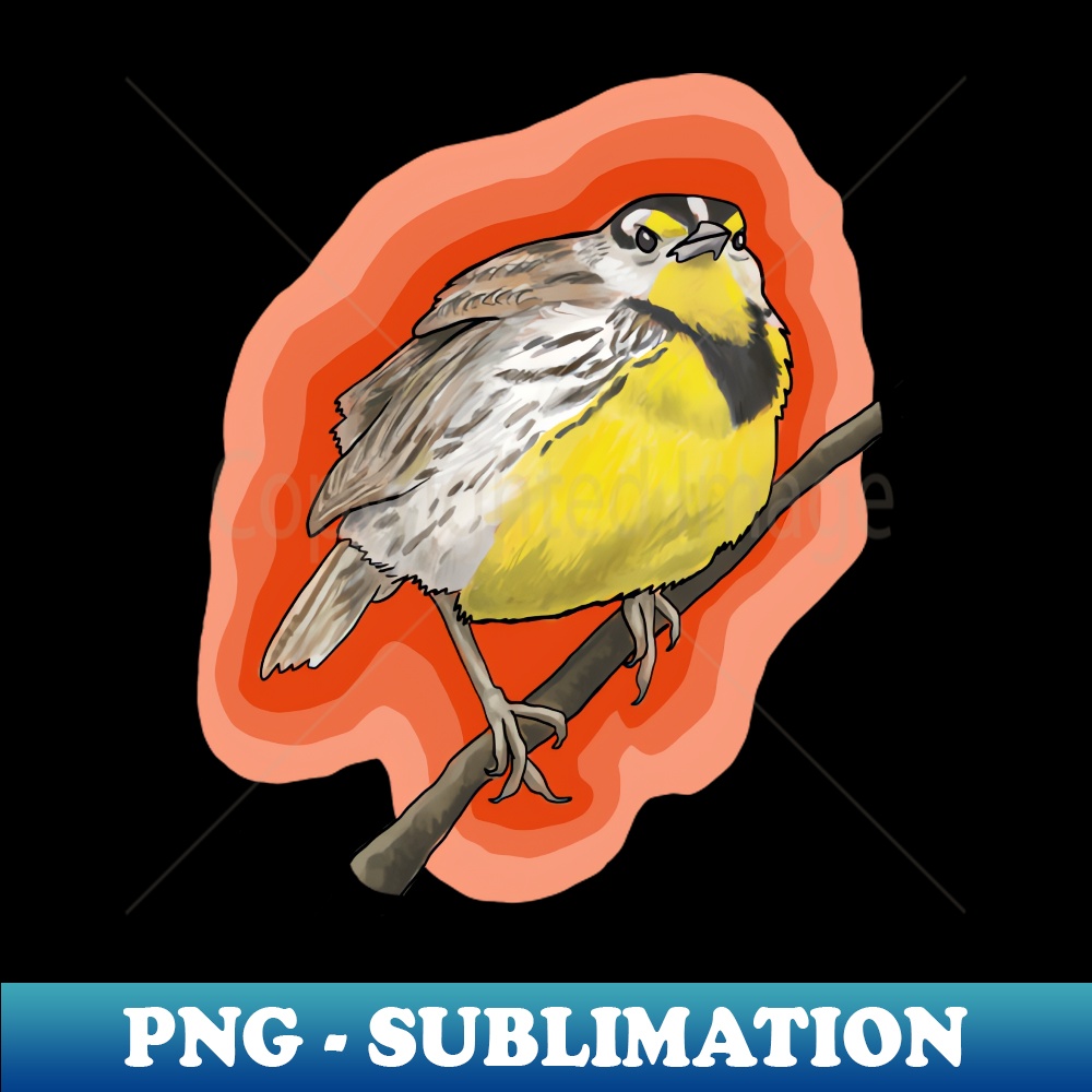 Anger Bird - PNG Transparent Sublimation File - Revolutioniz | Inspire ...