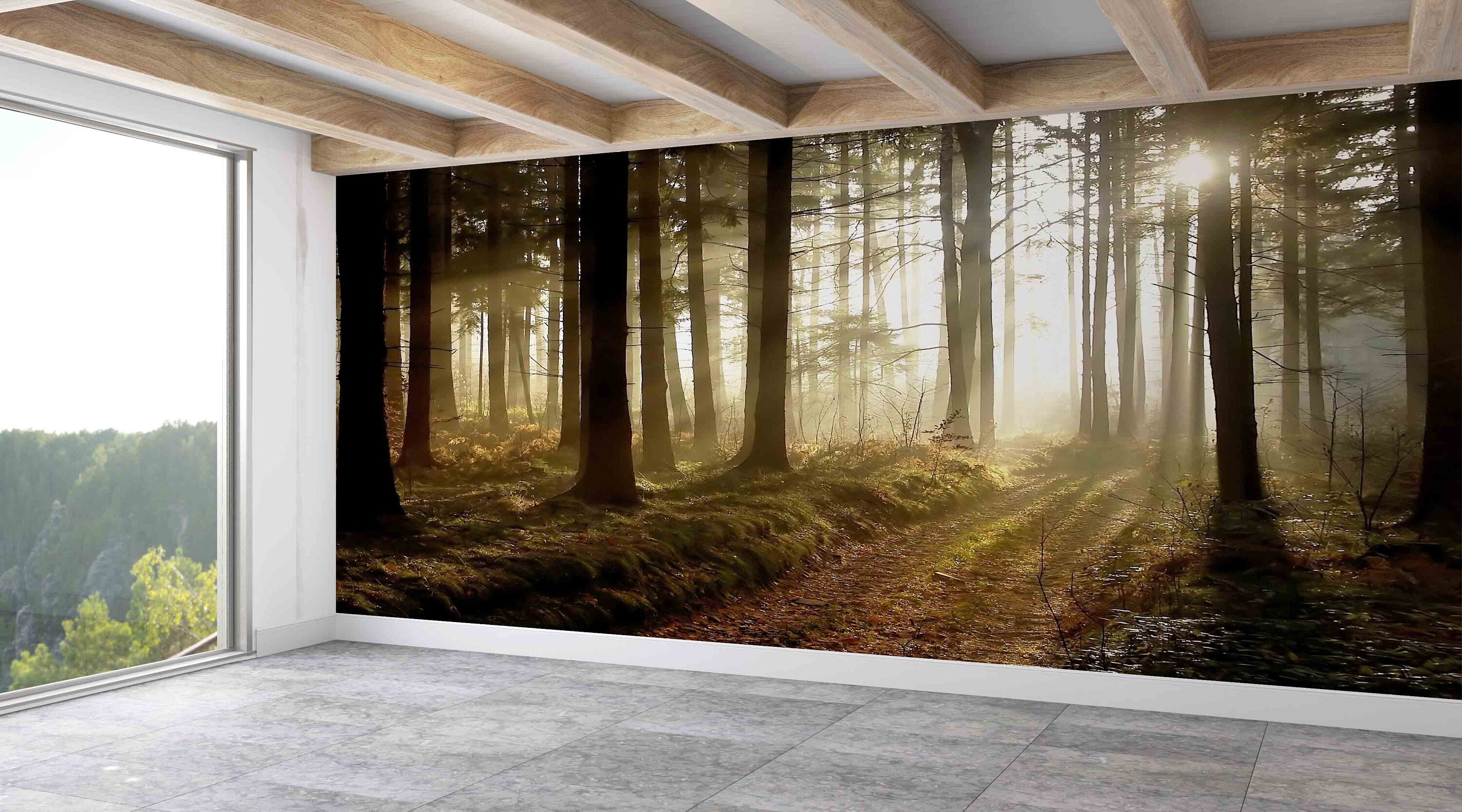 Forest Path At Sunset Wall Art, Wall Mural, Tree Wall Mural, | Inspire ...