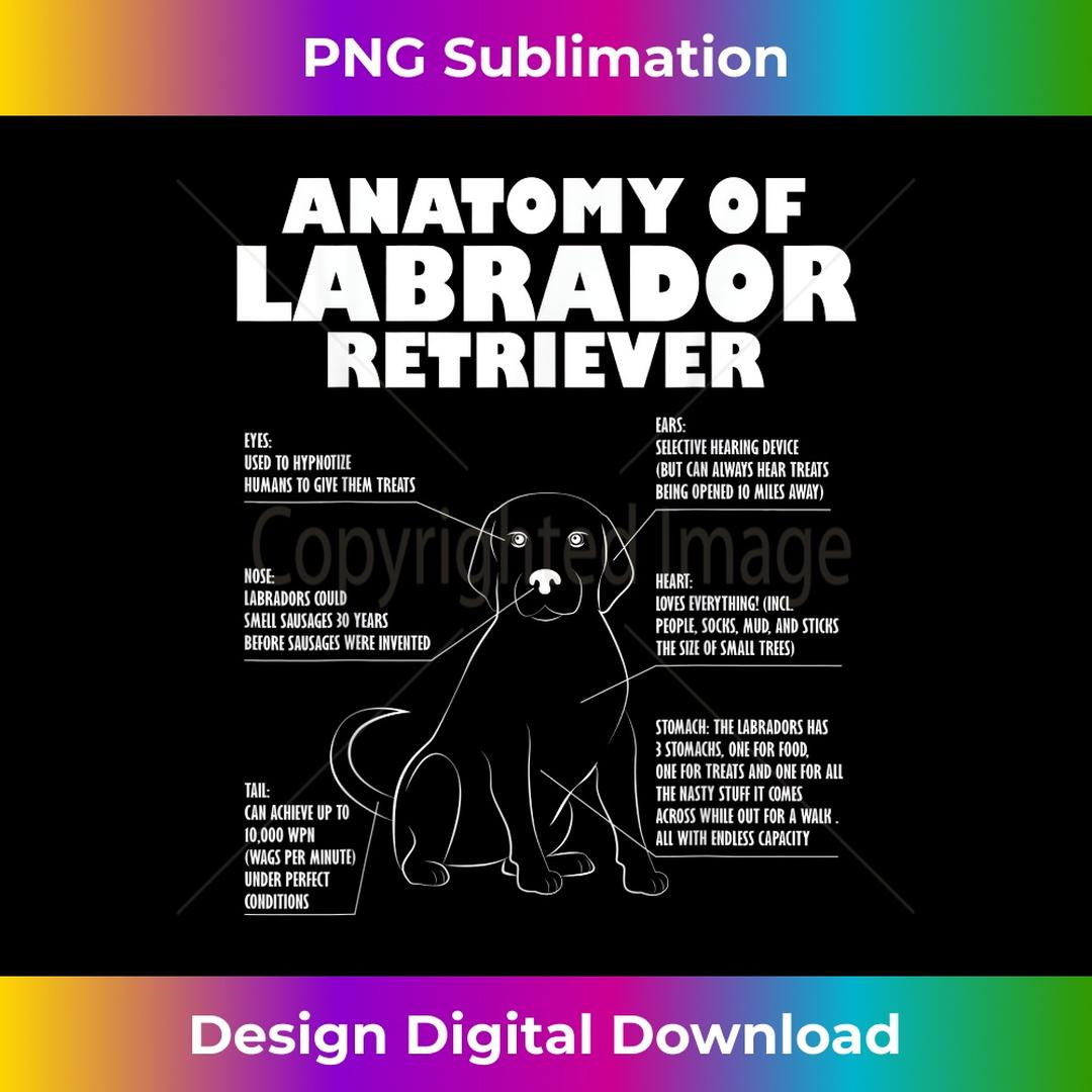 Funny Labrador Anatomy of a Labrador Retriever - High-Resolu - Inspire ...