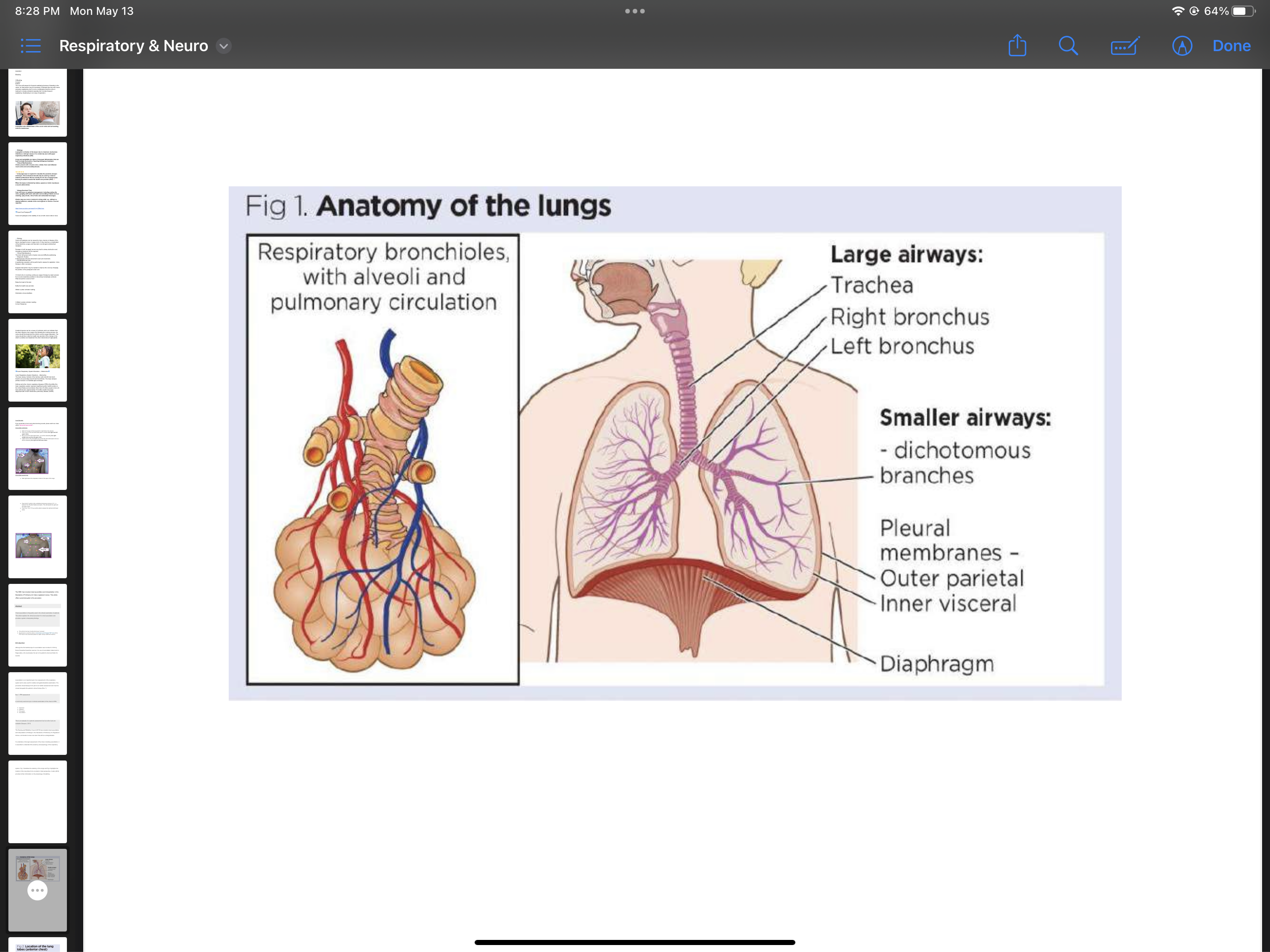 Respiratory and Neuro 2024 | Inspire Uplift