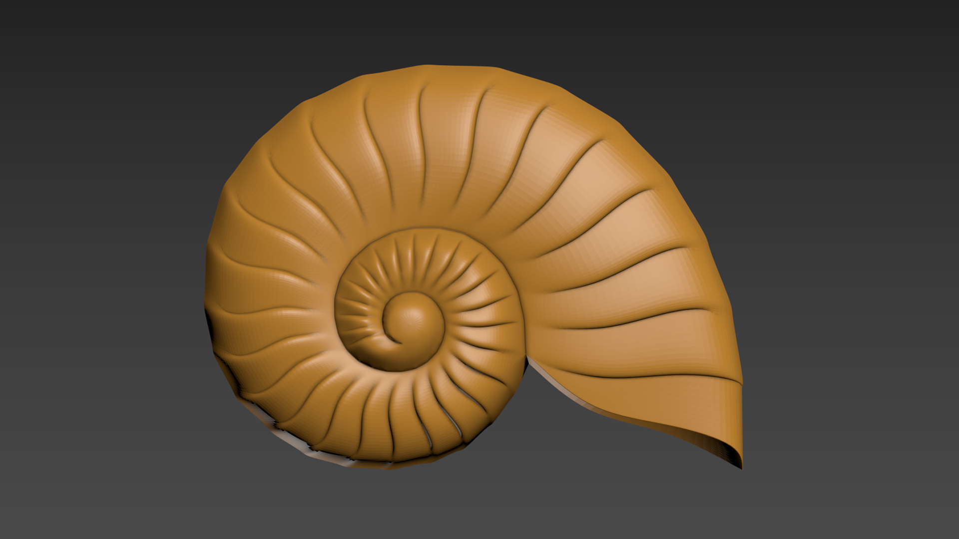 SeaShell. Relief. 3D Print Model. STL. CNC. Shell. | Inspire Uplift