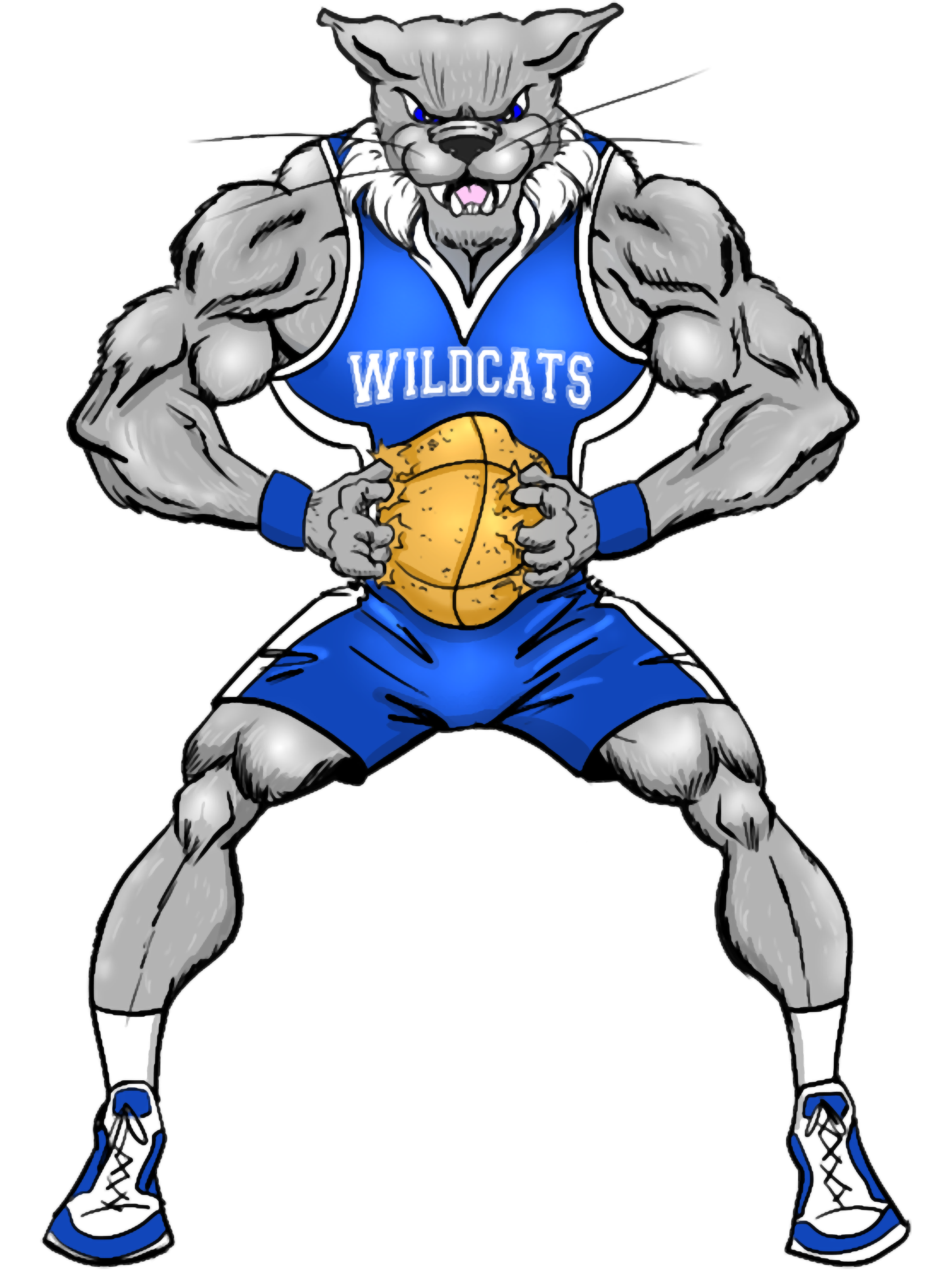 Wildcat Basketball Go Cats | Inspire Uplift