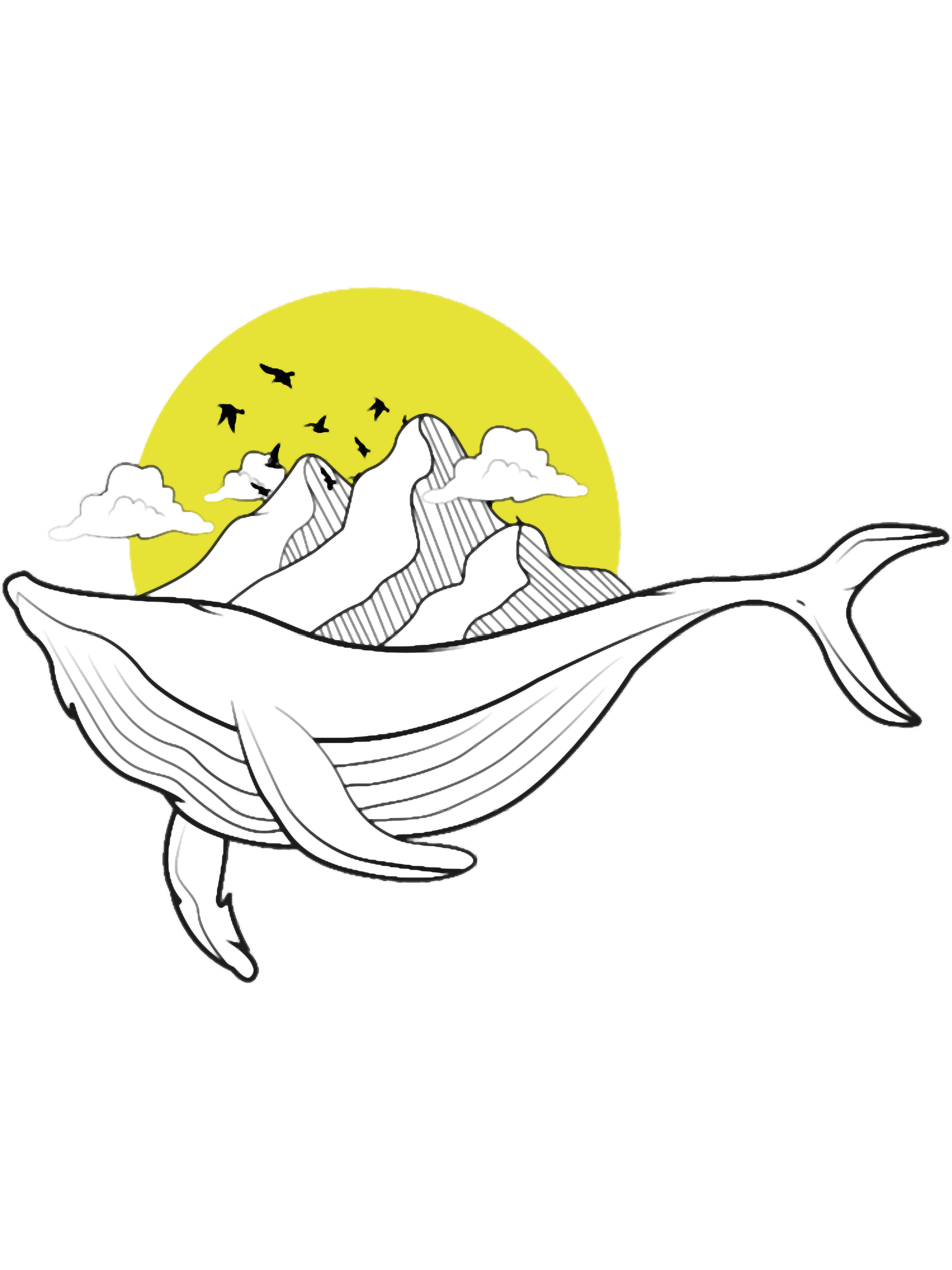 Shark Graphic | Inspire Uplift