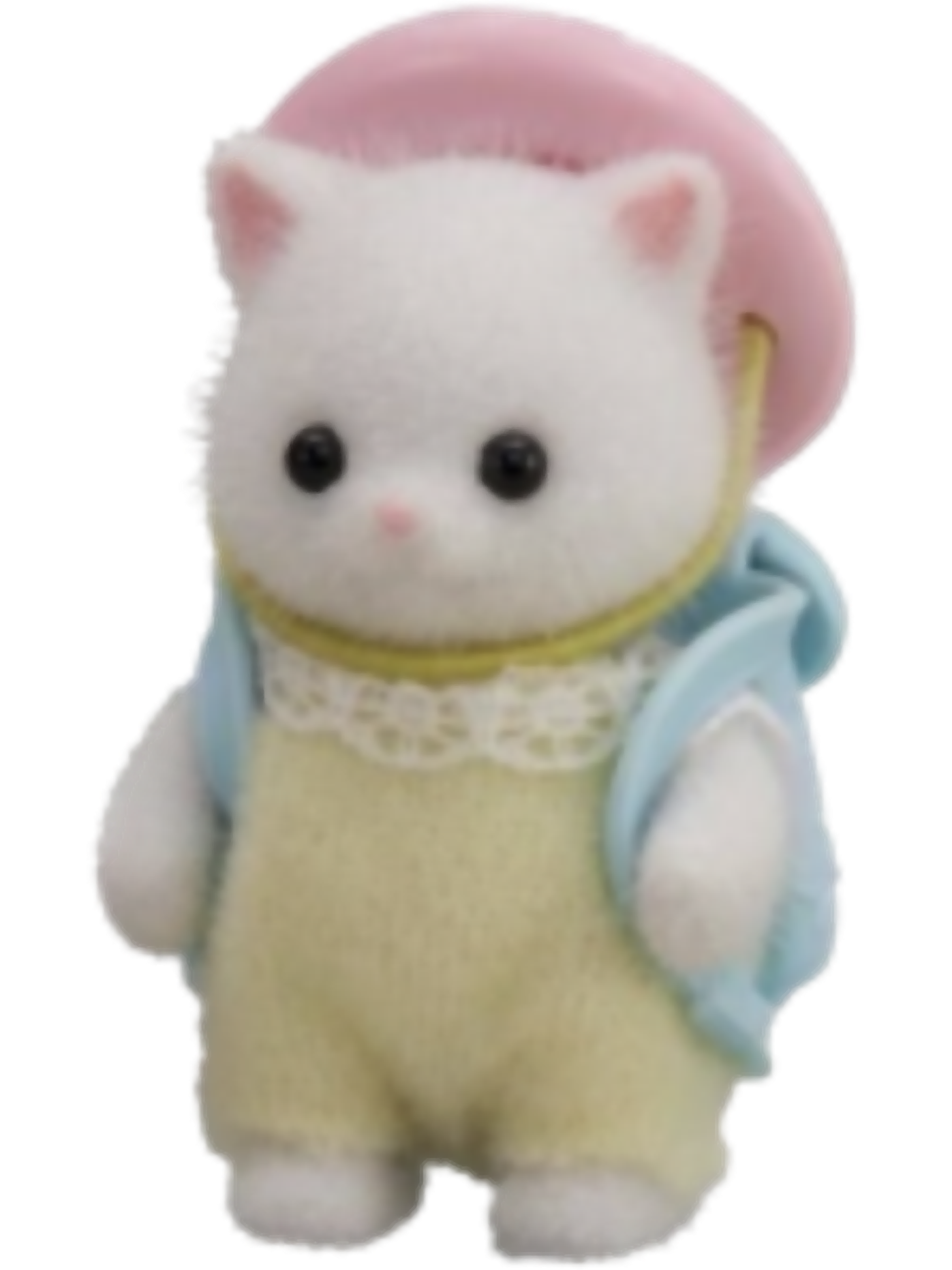 baby calico | Inspire Uplift