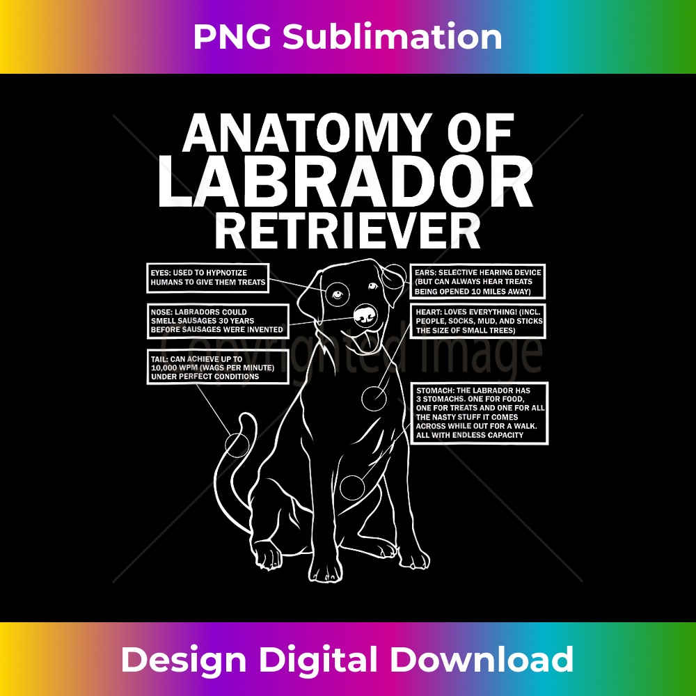 Anatomy of a Labrador Retriever Funny Lab Dog Owner Gifts - - Inspire ...