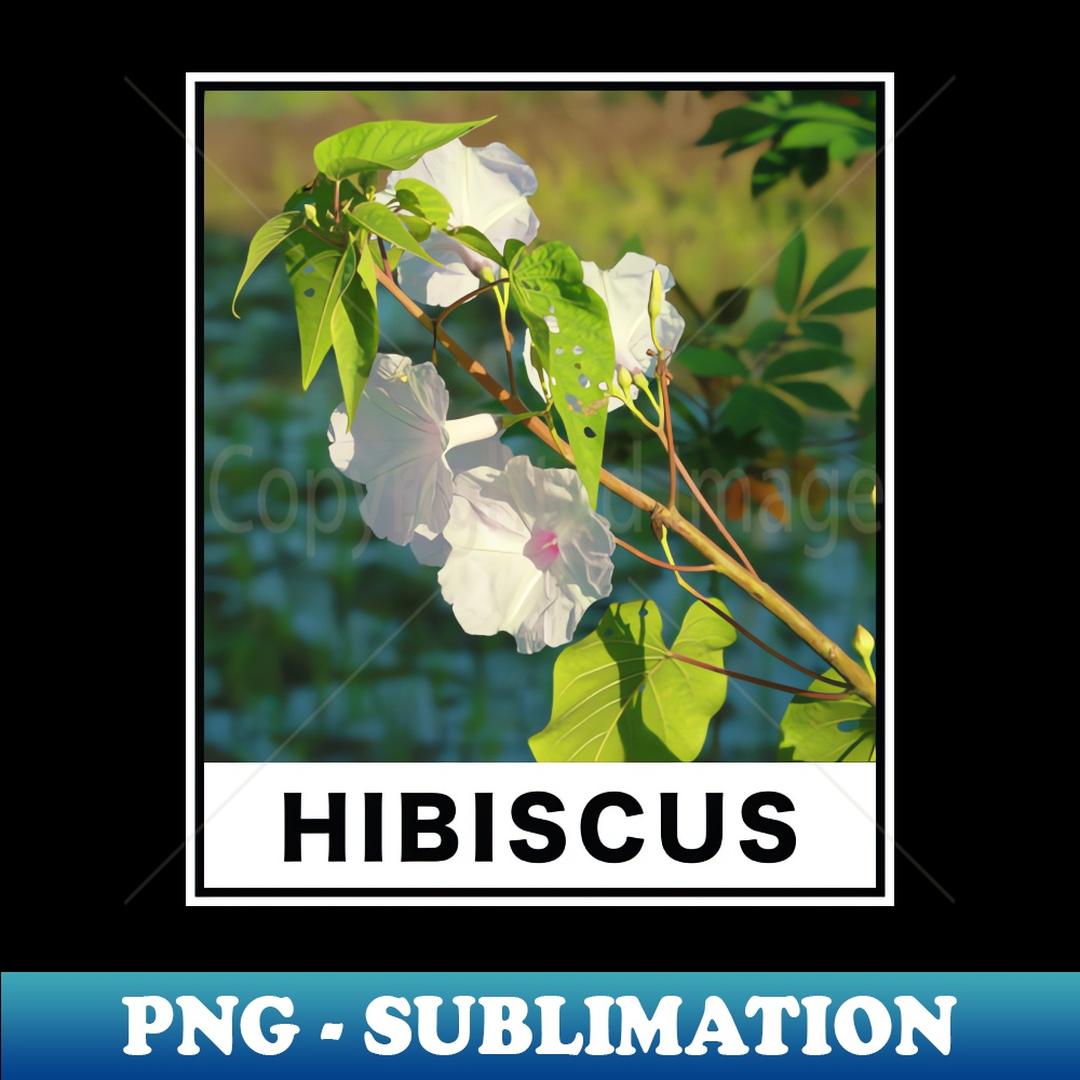 The Great Hibiscus Multi Color Photography - Special Edition | Inspire ...