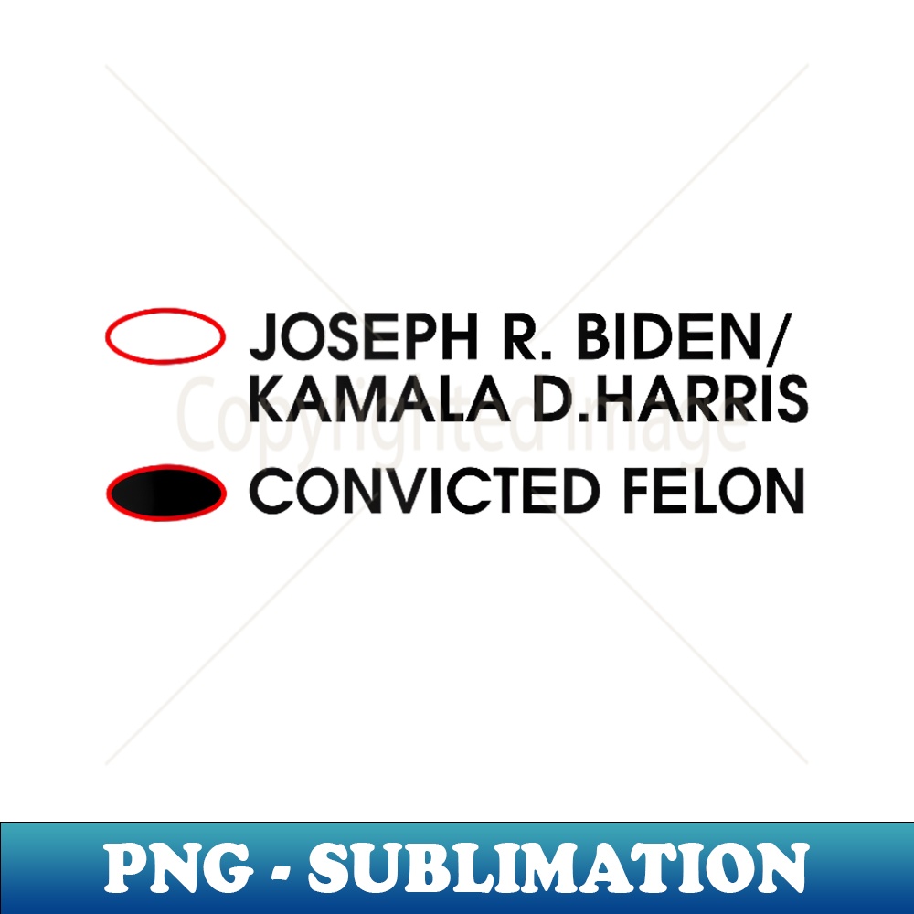 Funny Ballot Paper Voting Humor Joe Biden Vs Convicted Felon | Inspire ...