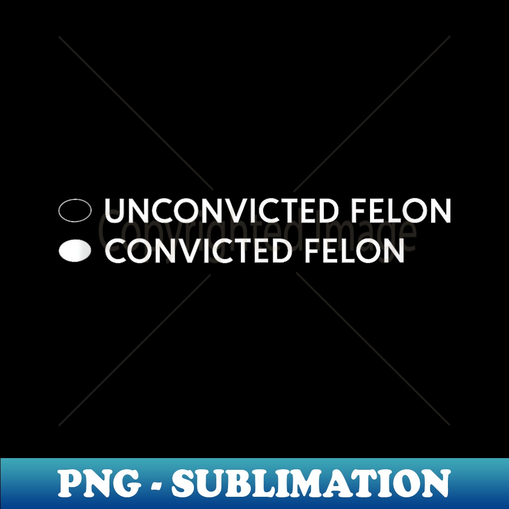 Funny Ballot Paper Voting Joe Biden vs Convicted Felon Trump | Inspire ...