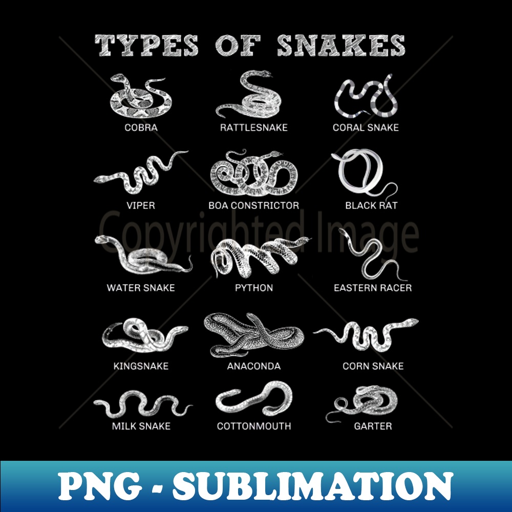 15 Types Of Snakes Reptile Serpent Pet Snake Owner Collector | Inspire ...