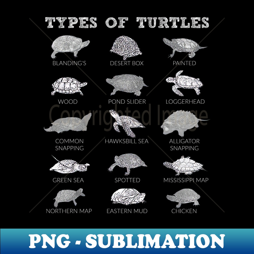 Types Of Turtles Sea Snapping Pond Slider Mud Turtle Lover - | Inspire ...