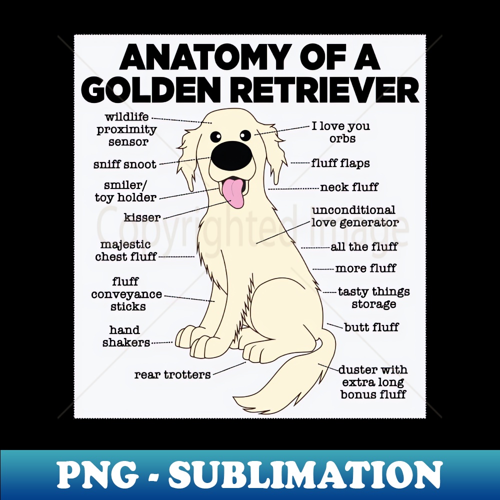 Anatomy Of A Golden Retriever - Premium Sublimation Digital | Inspire ...