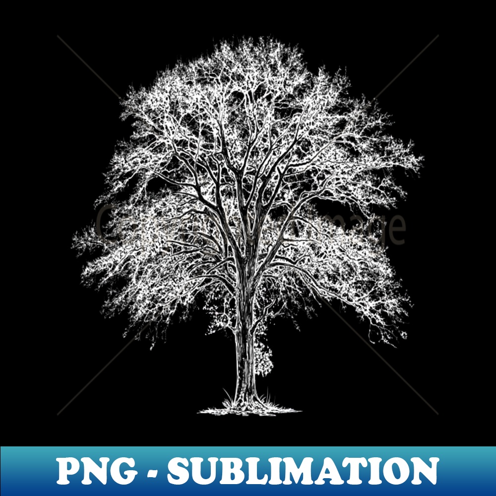 Outdoorsy Forests Natural Oak Tree Woods Lover Of Trees Art | Inspire ...