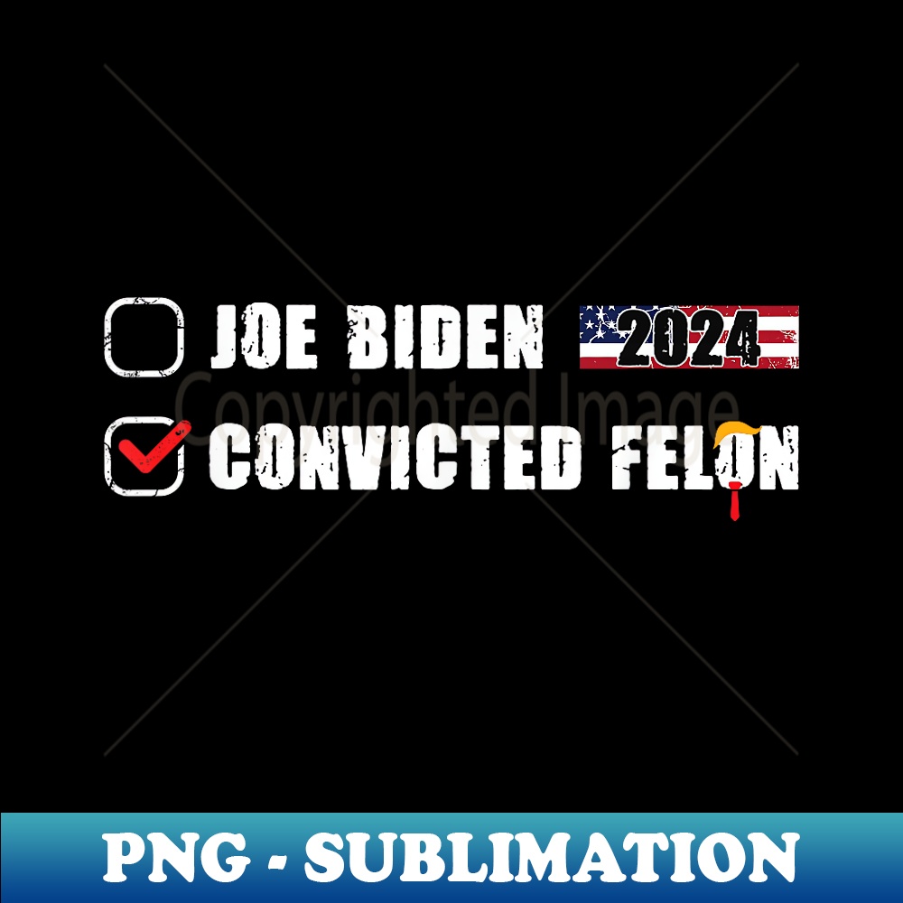 Funny Ballot Paper Voting Humor Joe Biden Vs Convicted Felon | Inspire ...