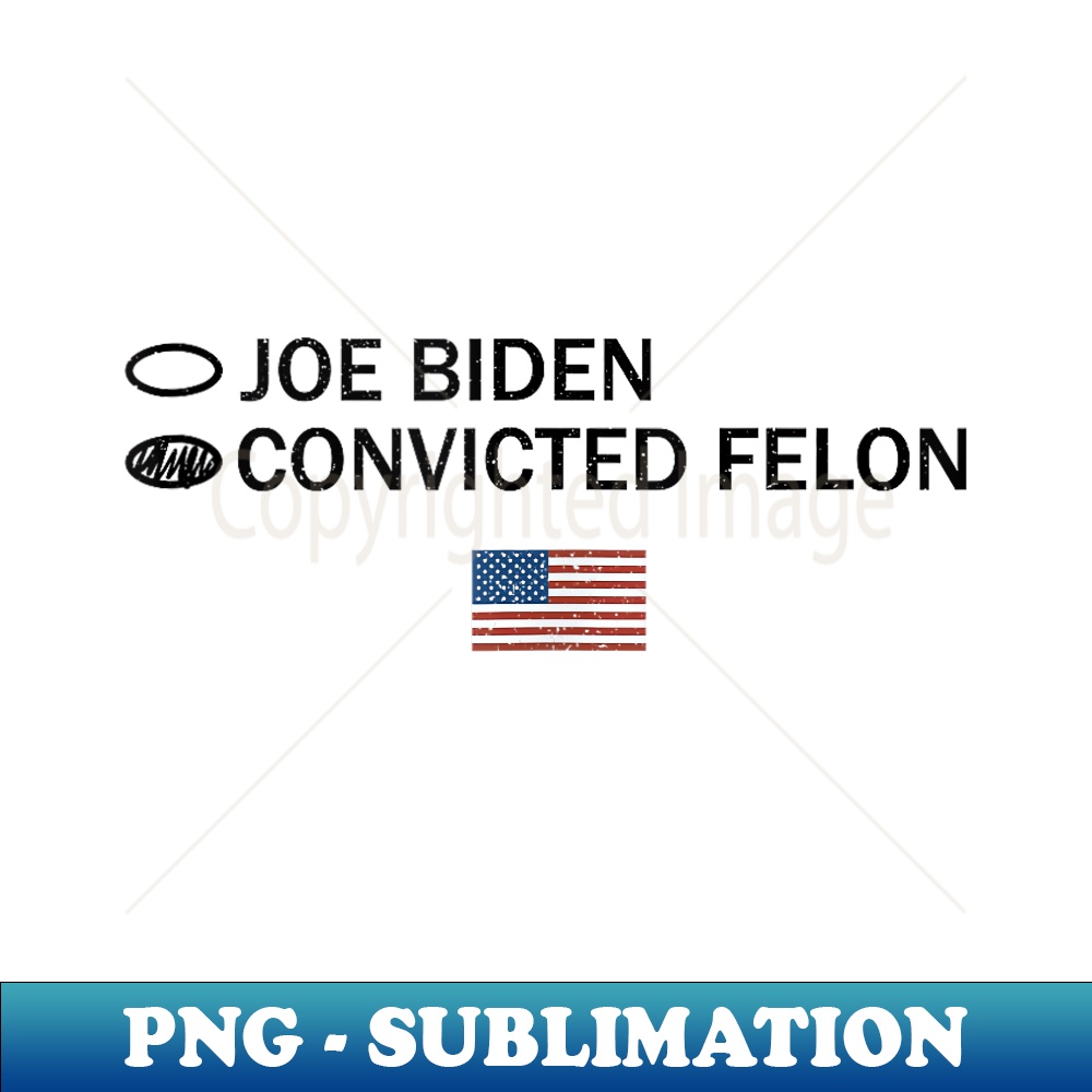 Joe Biden Vs Convicted Felon American Flag Ballot Paper Vote | Inspire ...