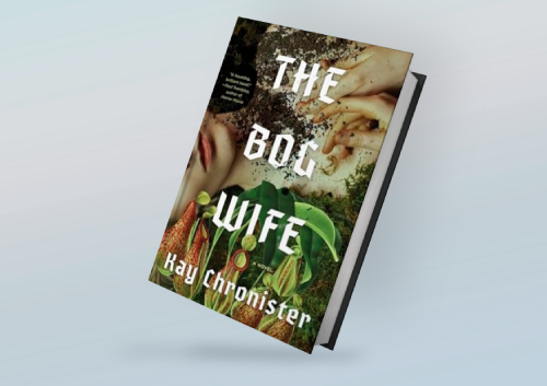 The Bog Wife, A Novel By Kay Chronister | Inspire Uplift