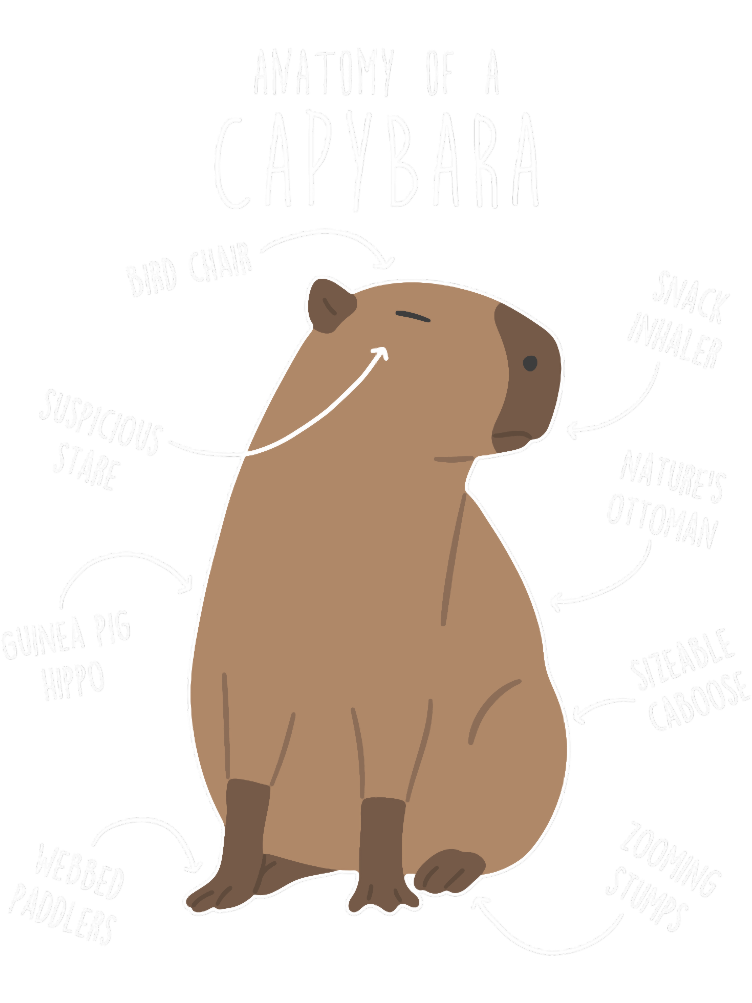 Capybara Anatomy | Inspire Uplift
