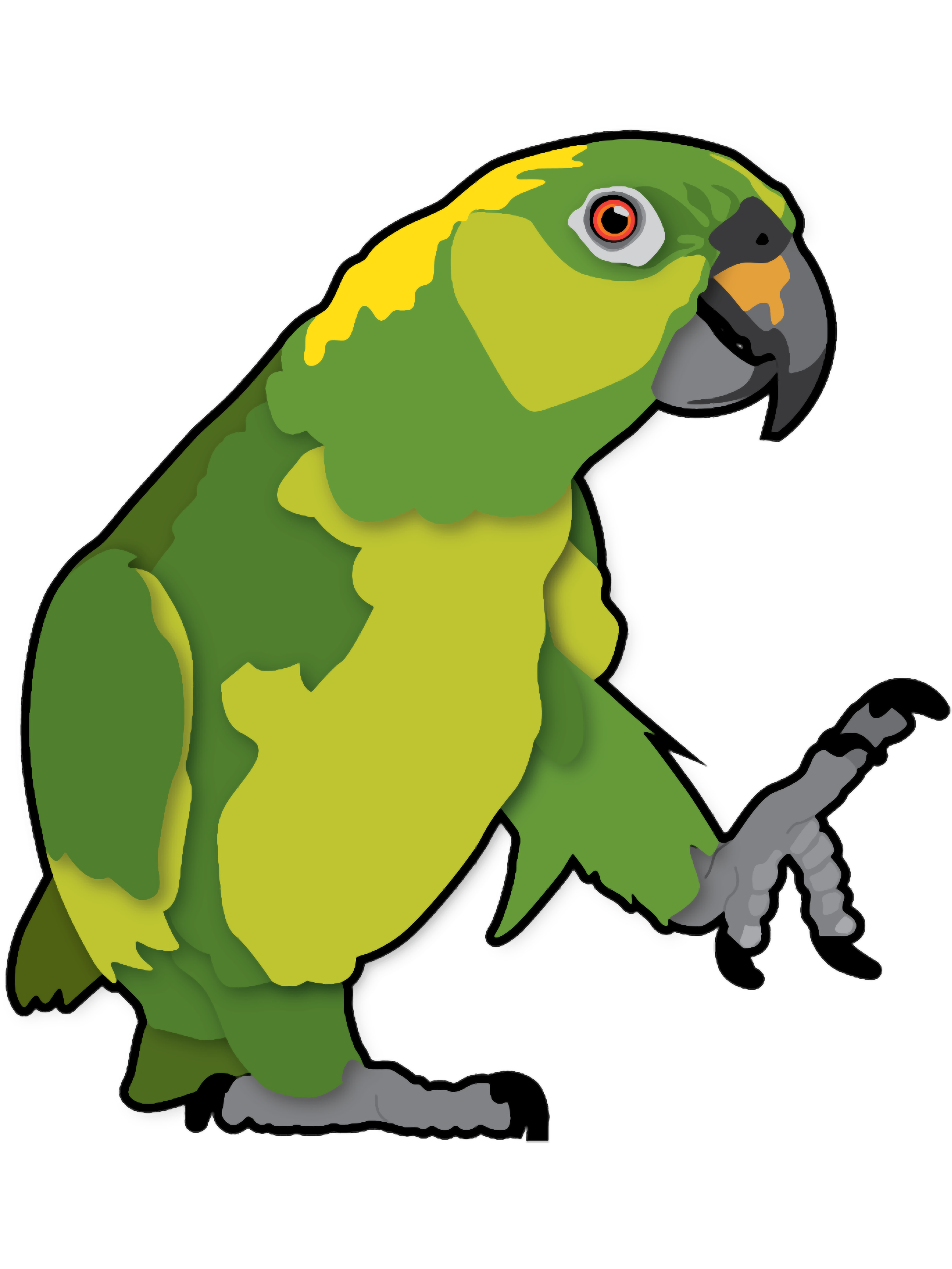 Happy Yellow Nape Amazon Parrot | Inspire Uplift