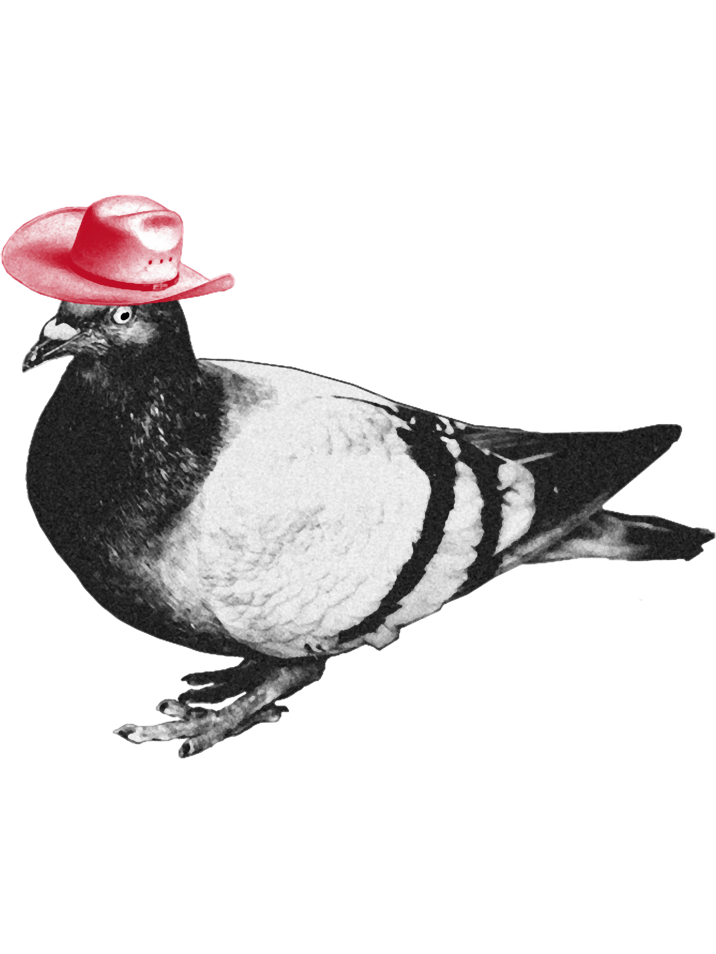 Pigeon in a Cowboy Hat | Inspire Uplift