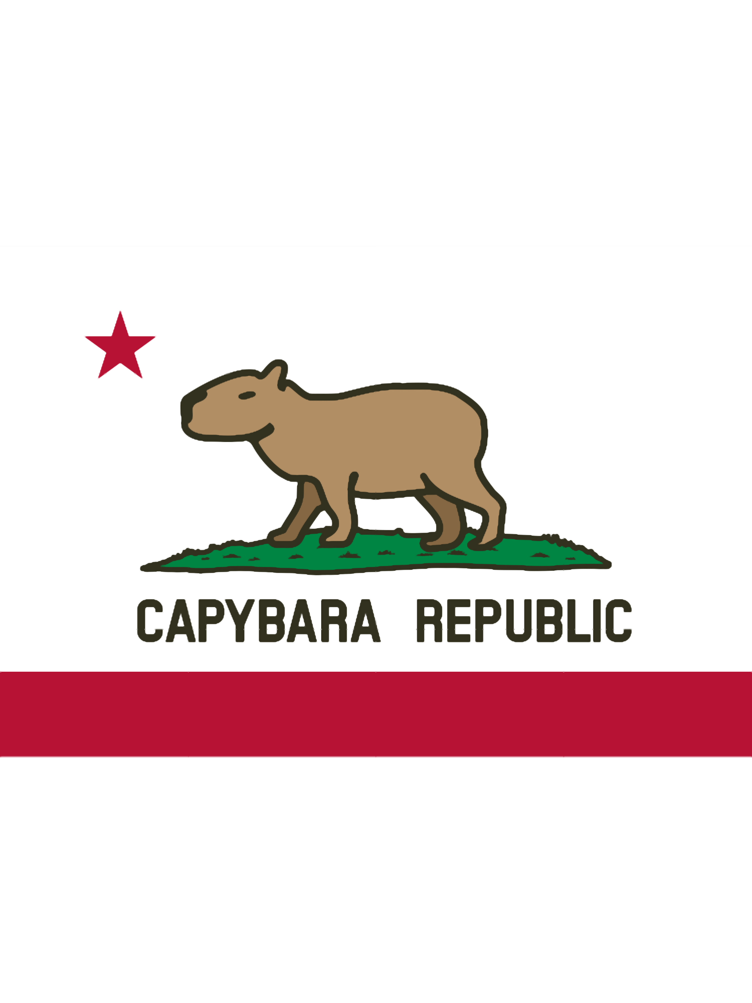 Capybara Flag (normal land version) | Inspire Uplift