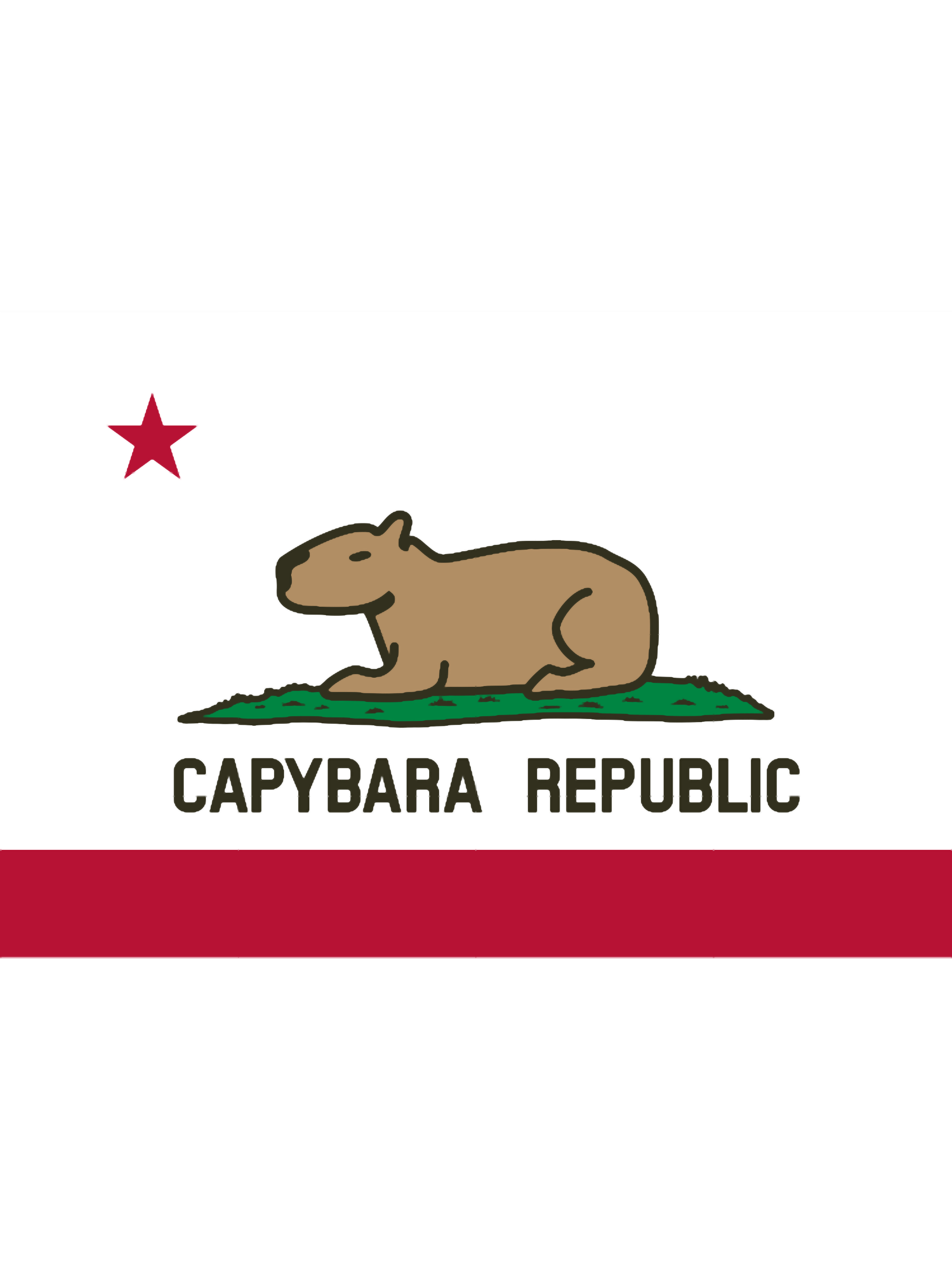 Capybara Flag (relaxed land version) | Inspire Uplift