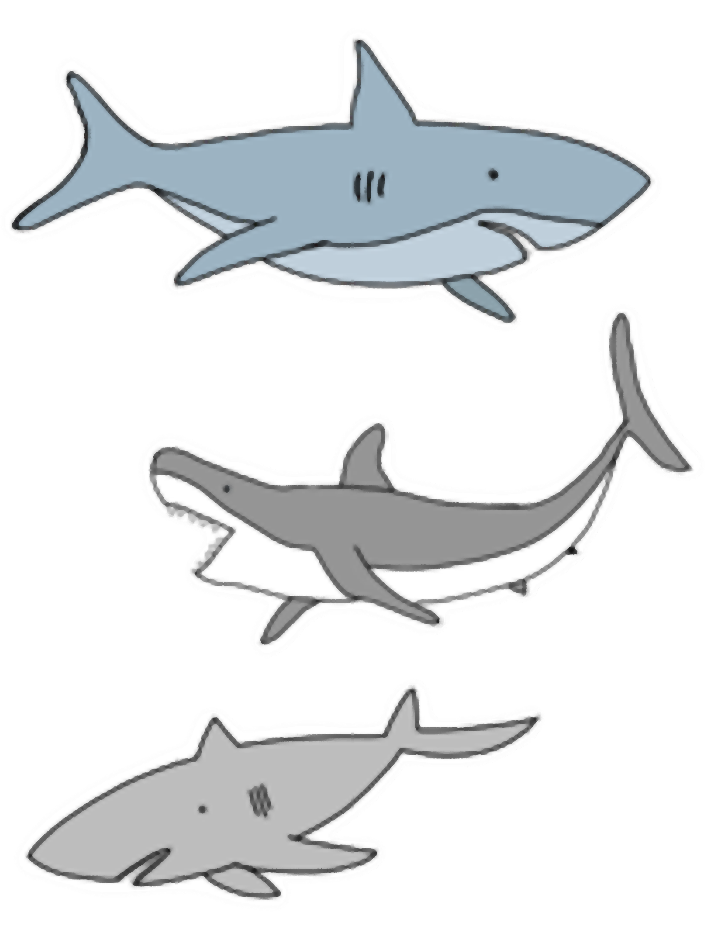 SharkPack | Inspire Uplift