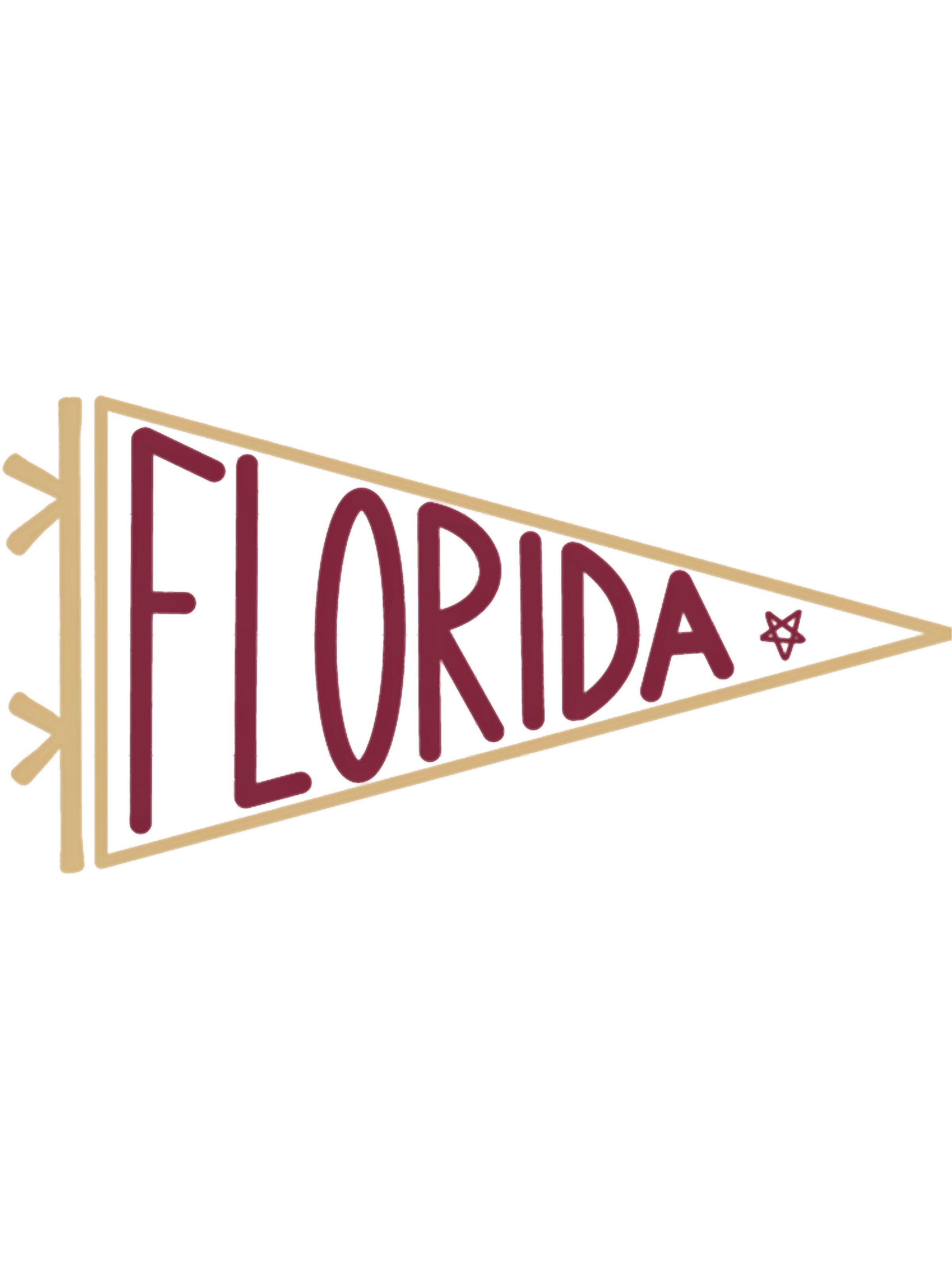 Florida Garnet And Gold Flag Banner Pennant | Inspire Uplift