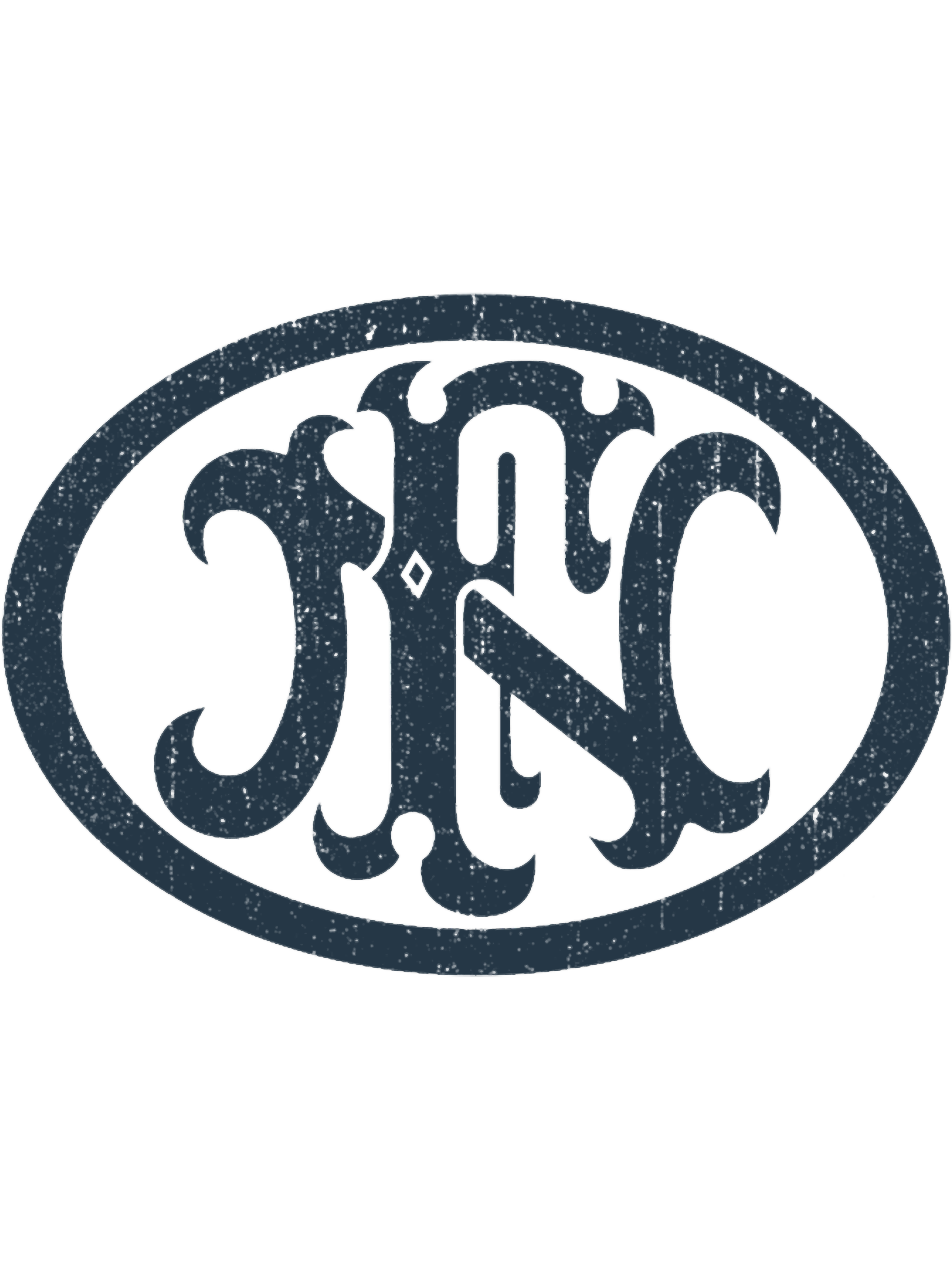 FN Firearms Pistols Rifles | Inspire Uplift