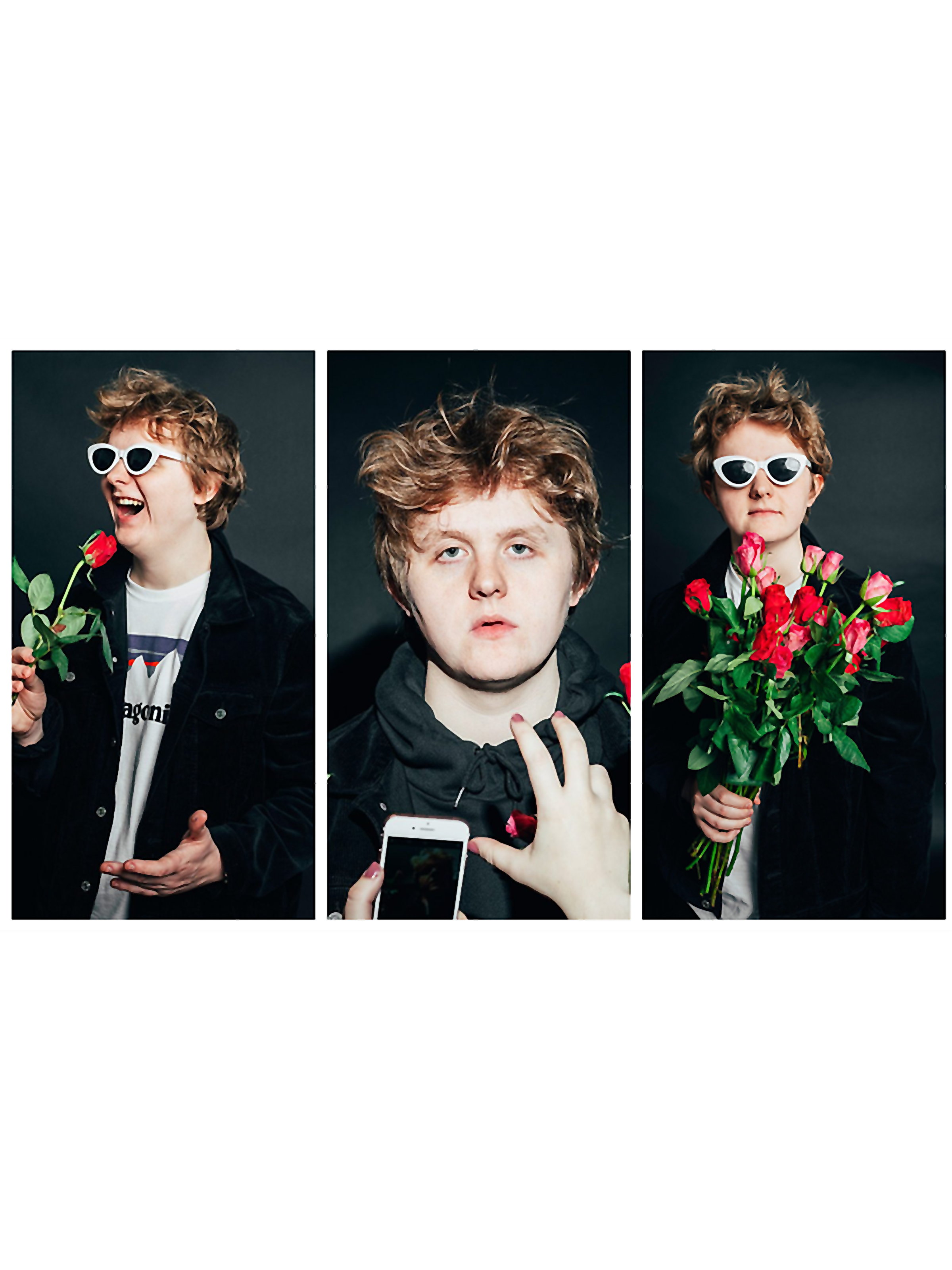 Lewis Capaldi Roses Photo Collage - Inspire Uplift