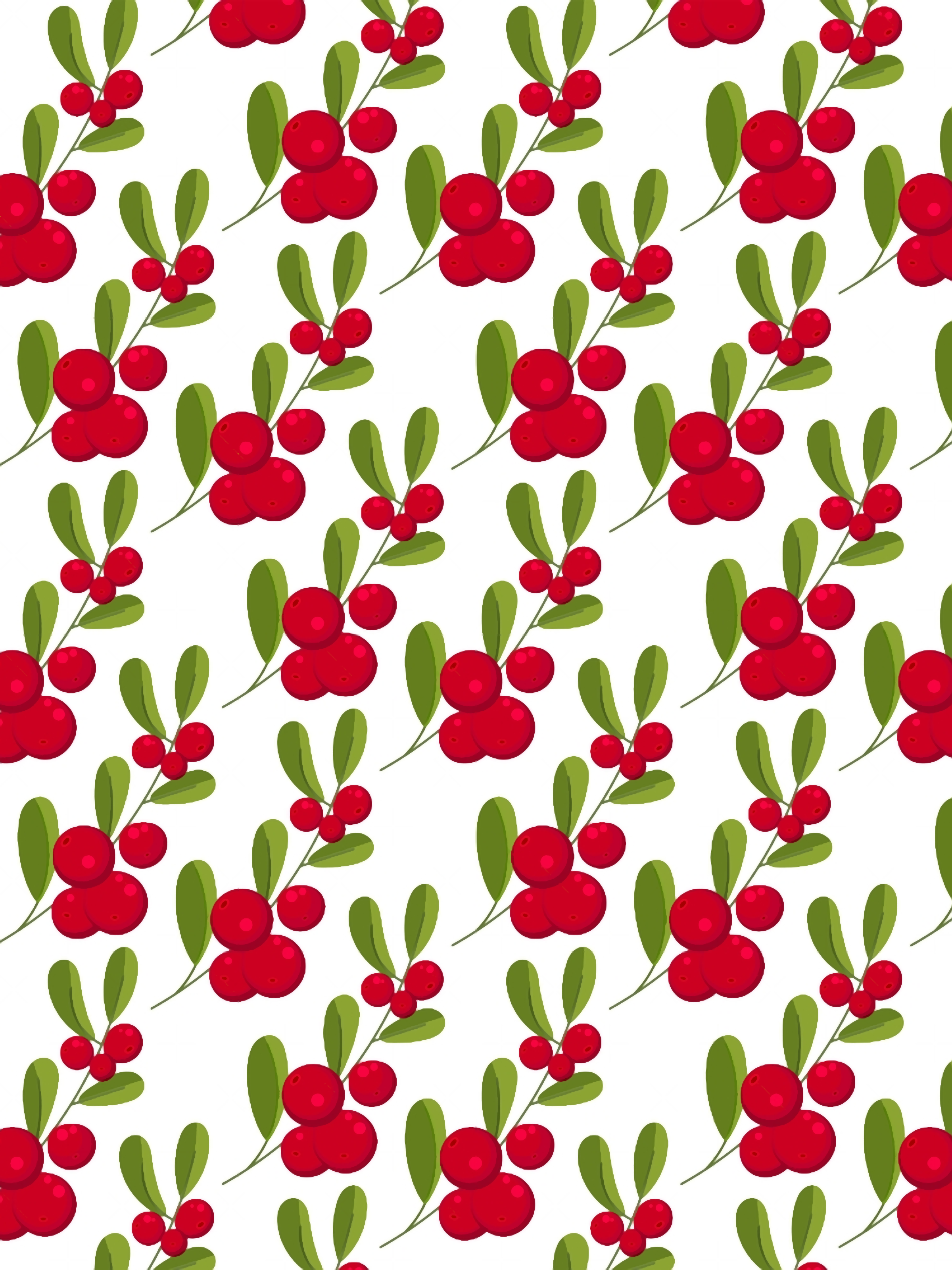 Beautiful Pattern with the red Cranberries Graphic | Inspire Uplift