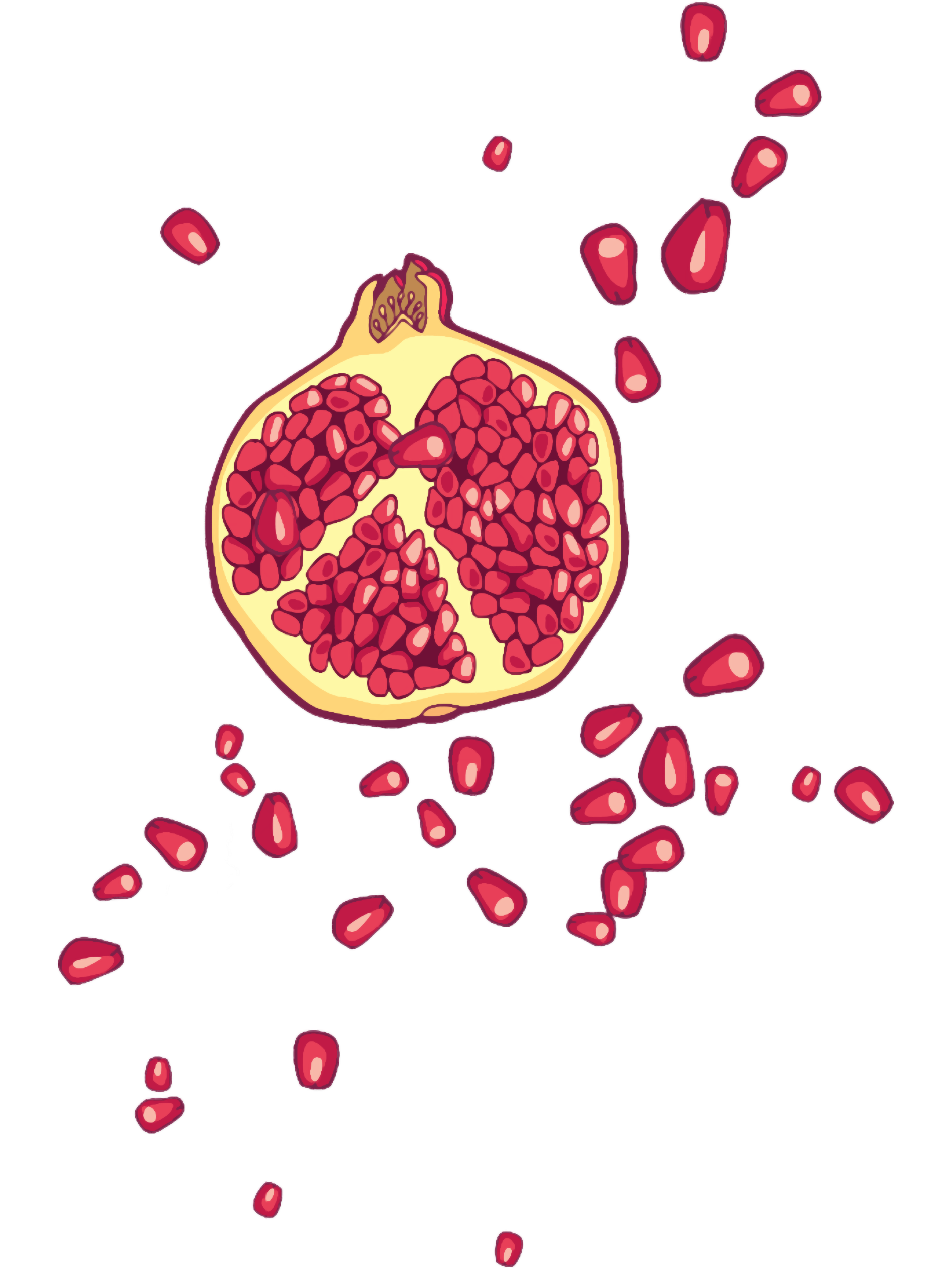 pomegranate pattern | Inspire Uplift