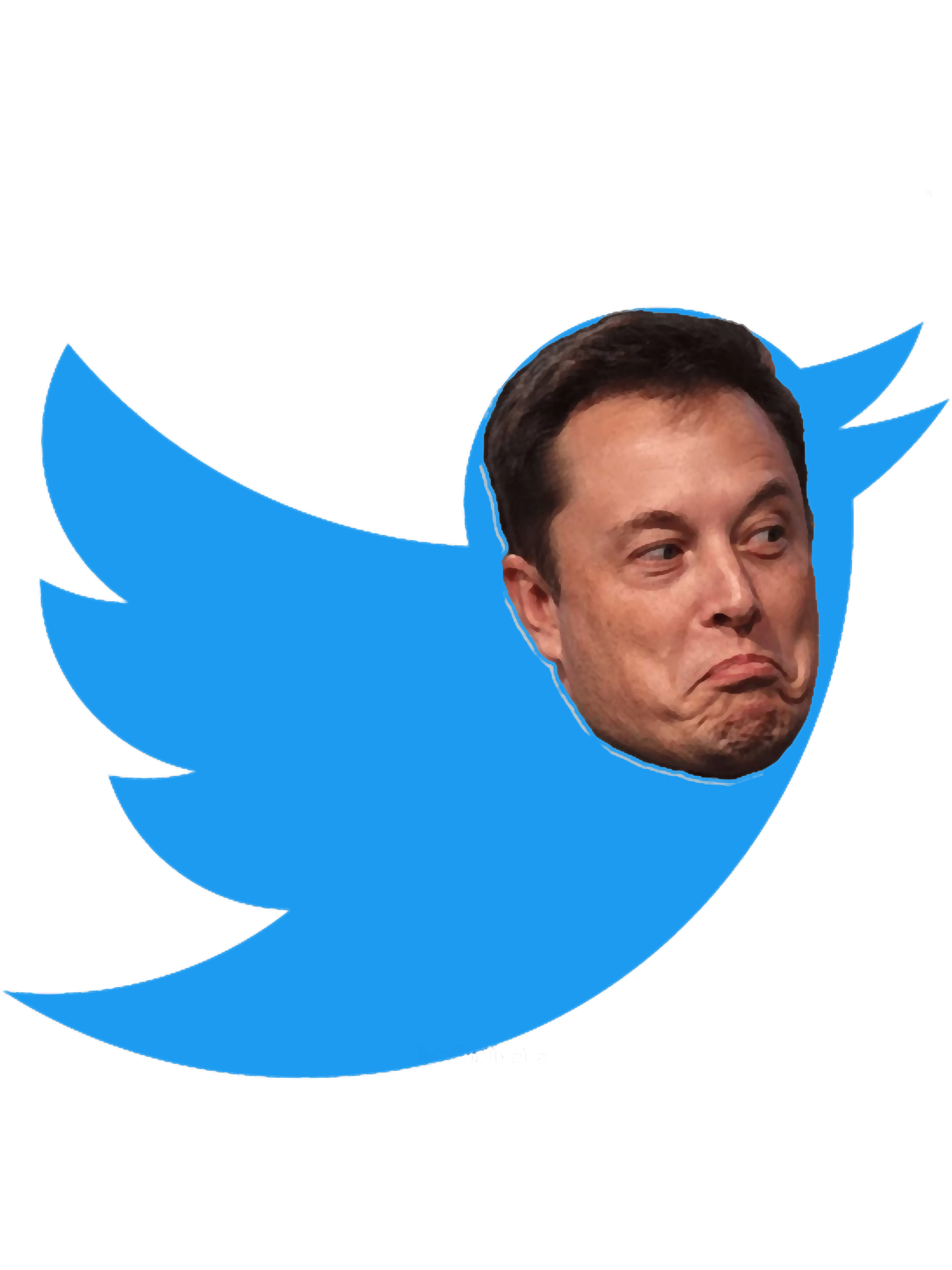 Twitter Logo Elon Musk Face | Inspire Uplift