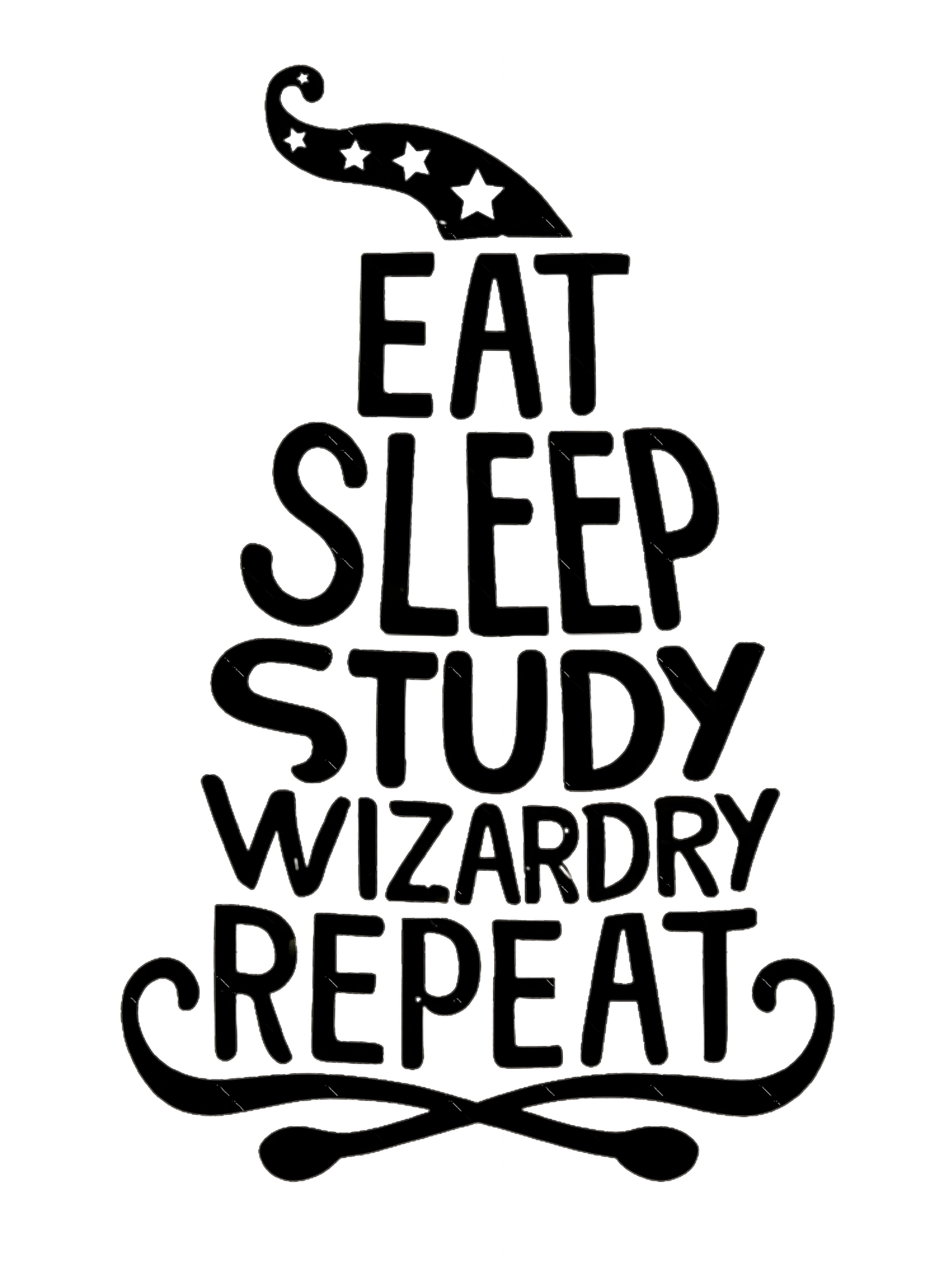 Eat, Sleep, Study Wizardry, RepeatHatWizard | Inspire Uplift