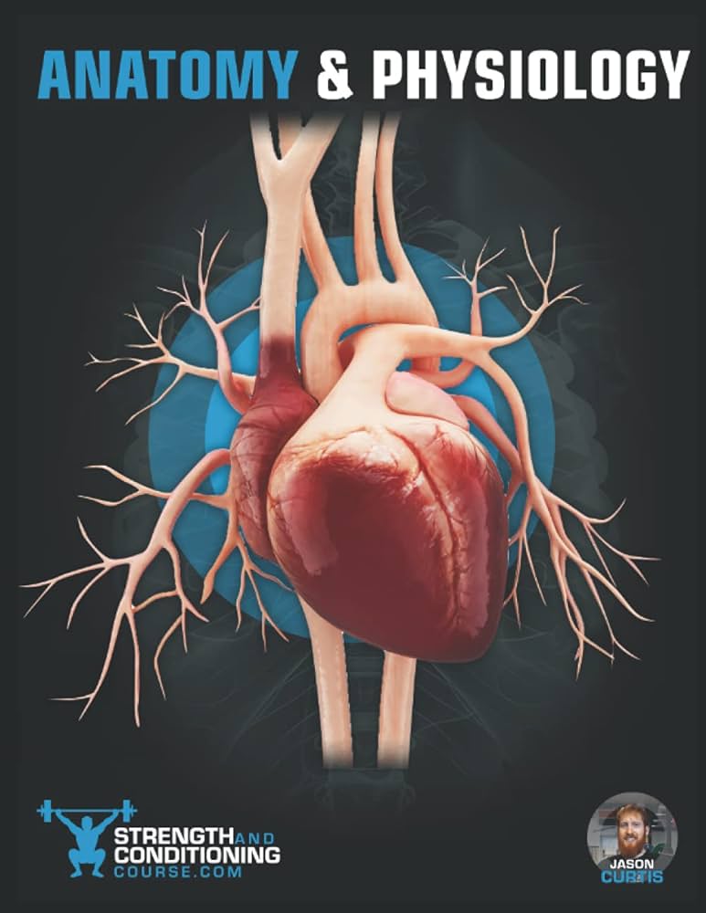 Test Bank ANATOMY & PHYSIOLOGY A SIMPLIFIED GUIDE TO THE STR | Inspire ...