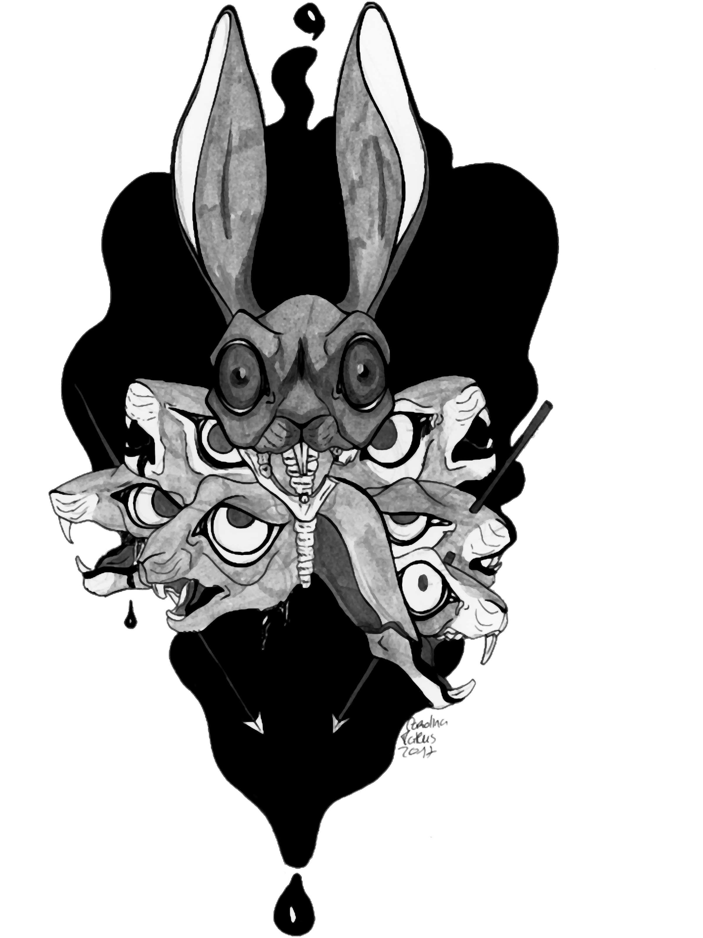 Deep Down The Rabbit Hole | Inspire Uplift