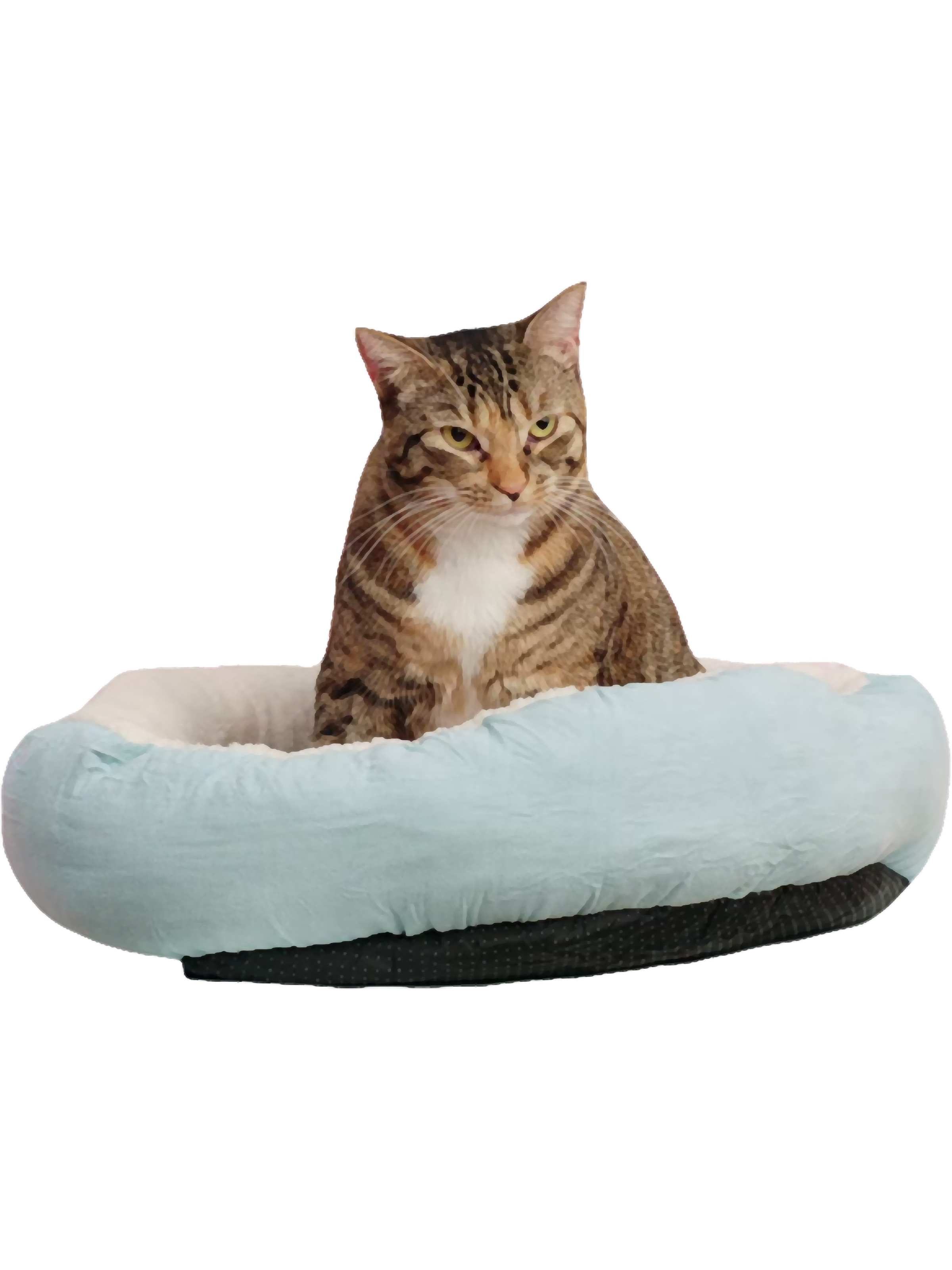 Gabbys Dollhouse Floyd | Inspire Uplift